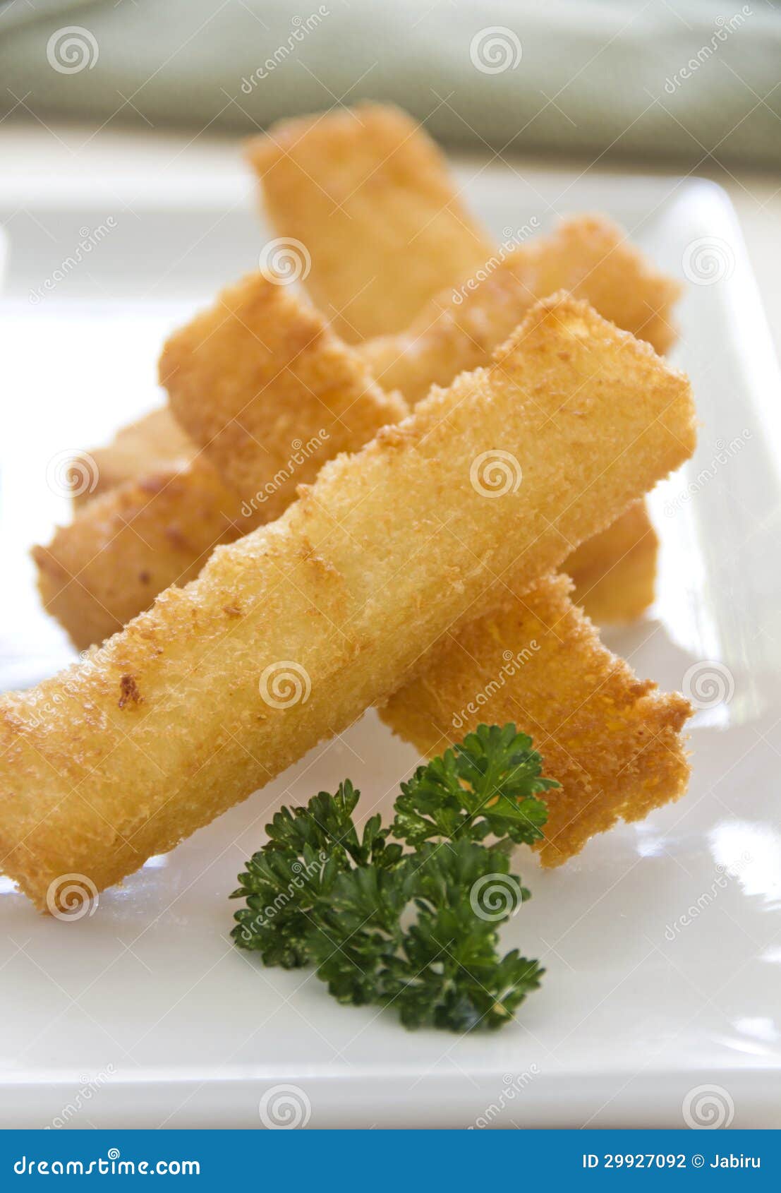Fried Bread Strips stock photo. Image of crisp, toast - 29927092