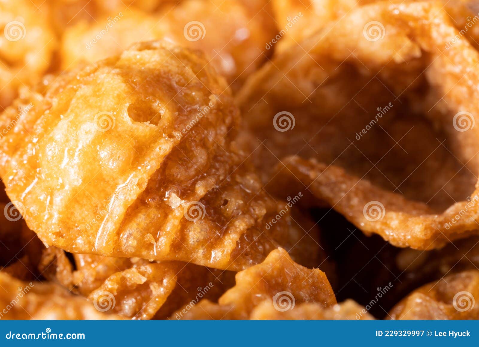 Fried Conch Fritters And French Fries Stock Photography | CartoonDealer ...