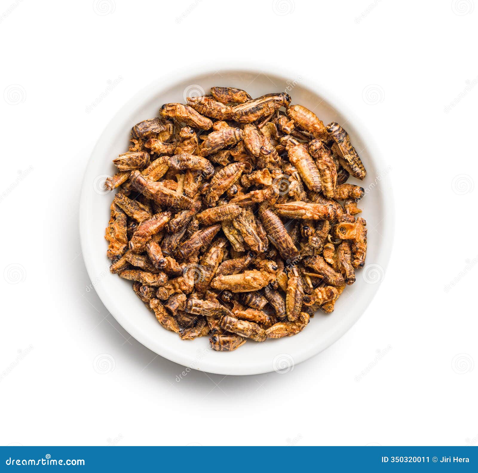 Crispy Fried Crickets in Bowl Isolated on White Background. Insect ...