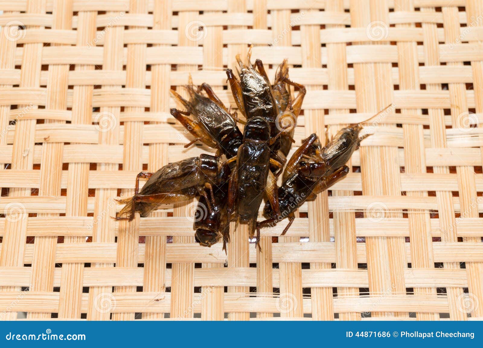 Crispy Fried Insects on Basketwork Background Stock Photo - Image of ...