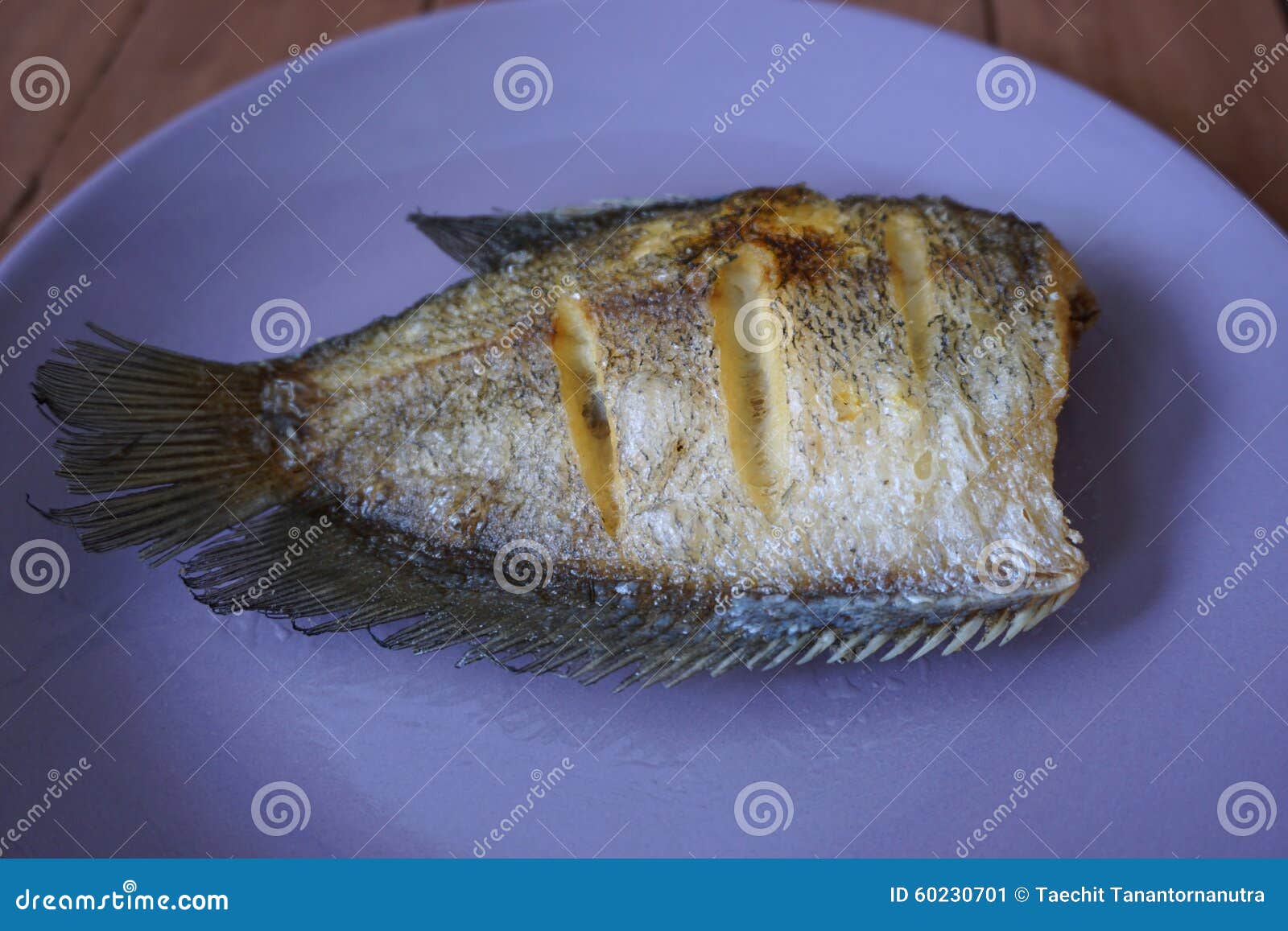 Sepat Siam, Sanke Skin Goursmi (Trichogaster Pectoralis). Royalty-Free ...