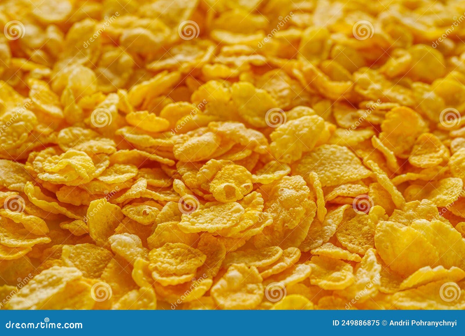 Crispy Golden Cornflakes on a White Acrylic Background Stock Image ...