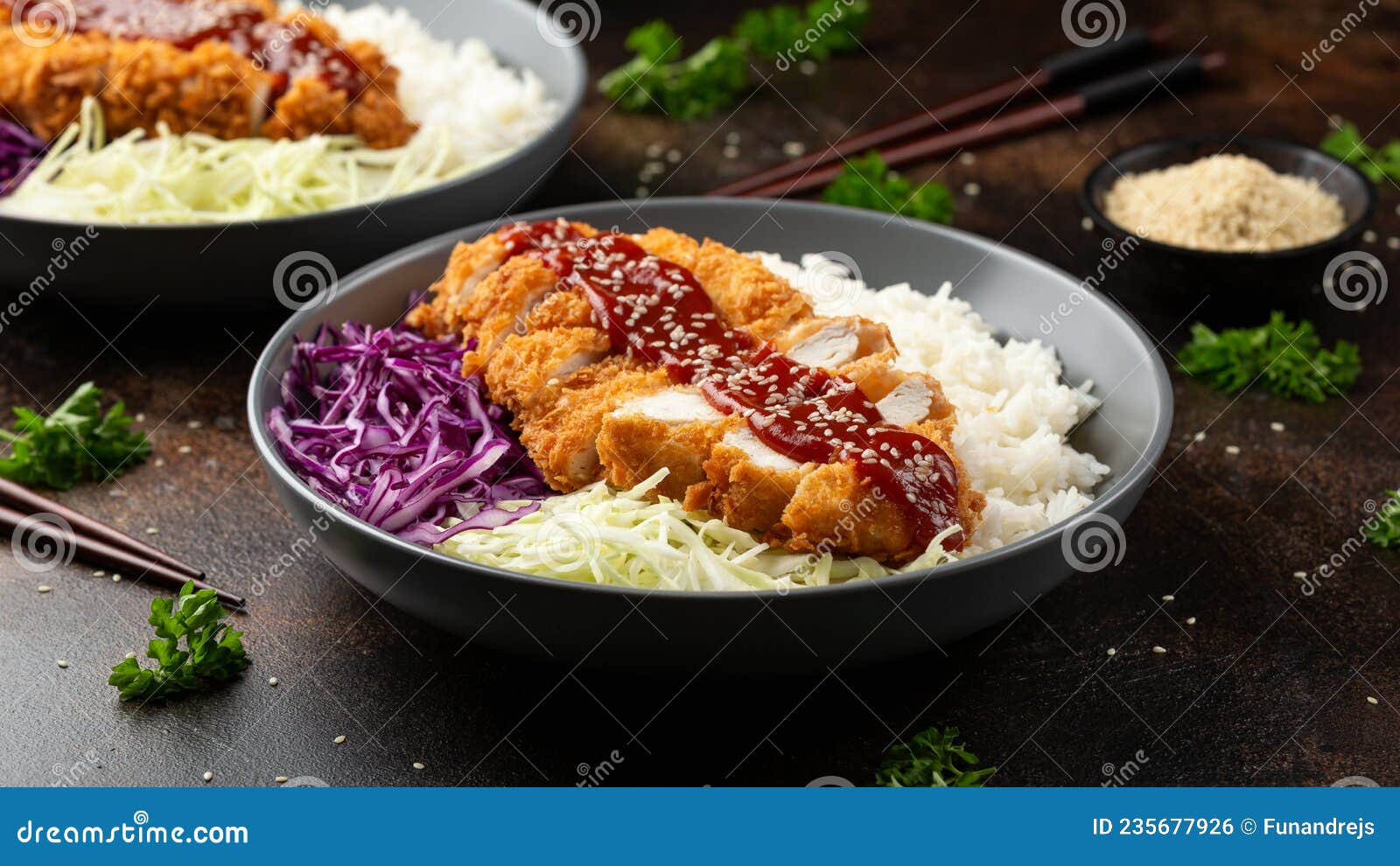 Crispy Katsu Chicken with Sauce, Rice and Cabbage. Stock Photo - Image ...