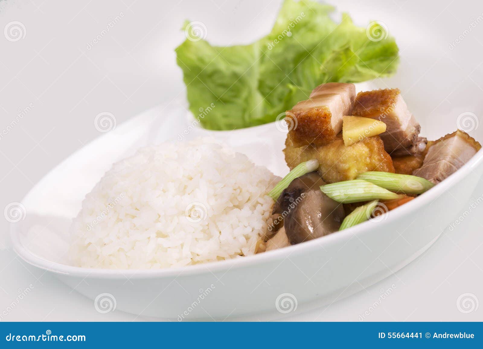 Crispy layered pork rice stock image. Image of pork, cuisine - 55664441