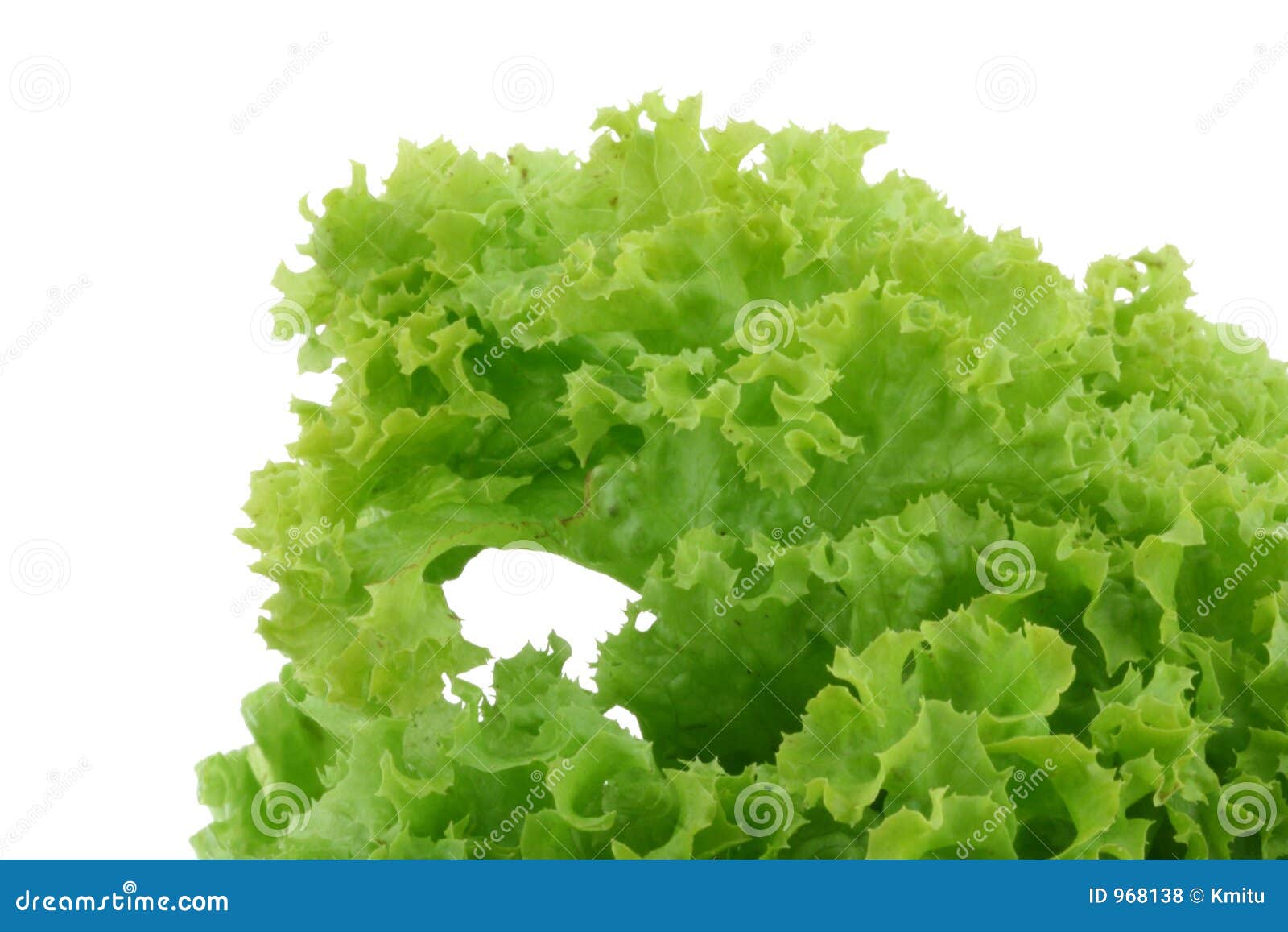 Crispy lettuce on white stock photo. Image of closeup, fresh - 968138