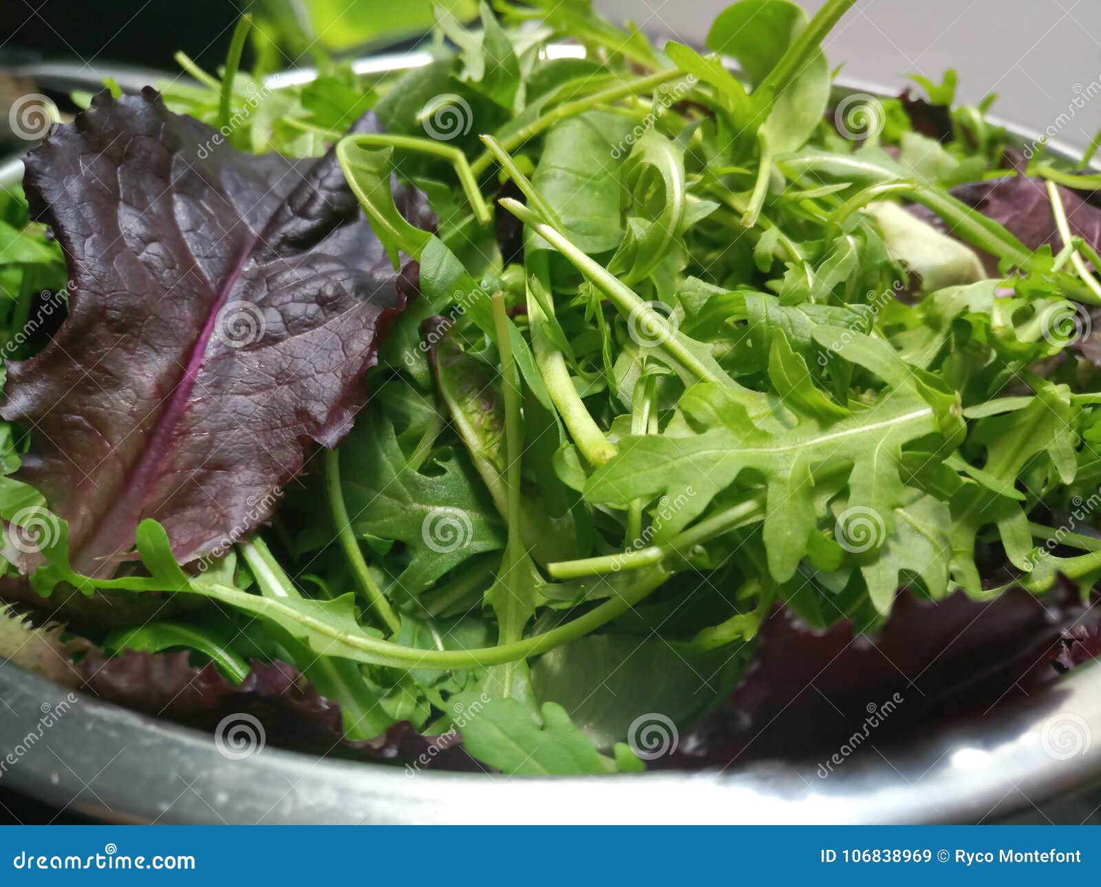 Crispy Organic Washed Salad Stock Image - Image of crispy, salad: 106838969