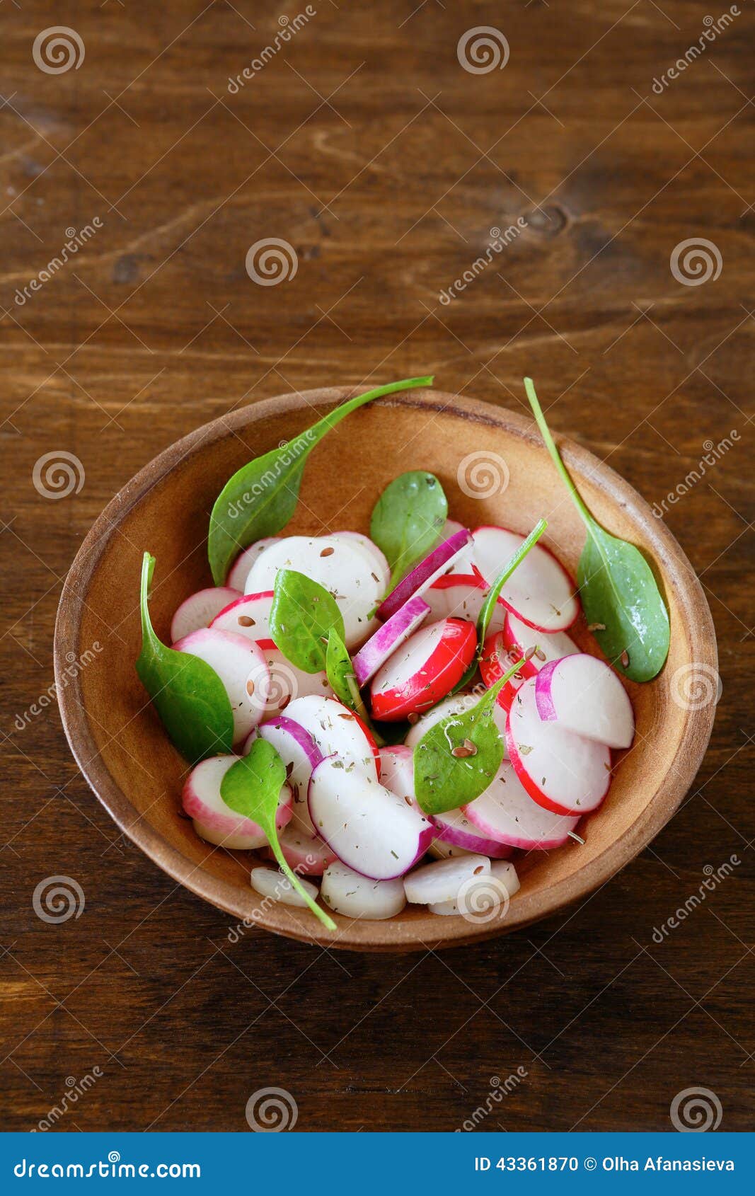 Crispy Radish Salad with Spinach Stock Photo - Image of vegetable ...