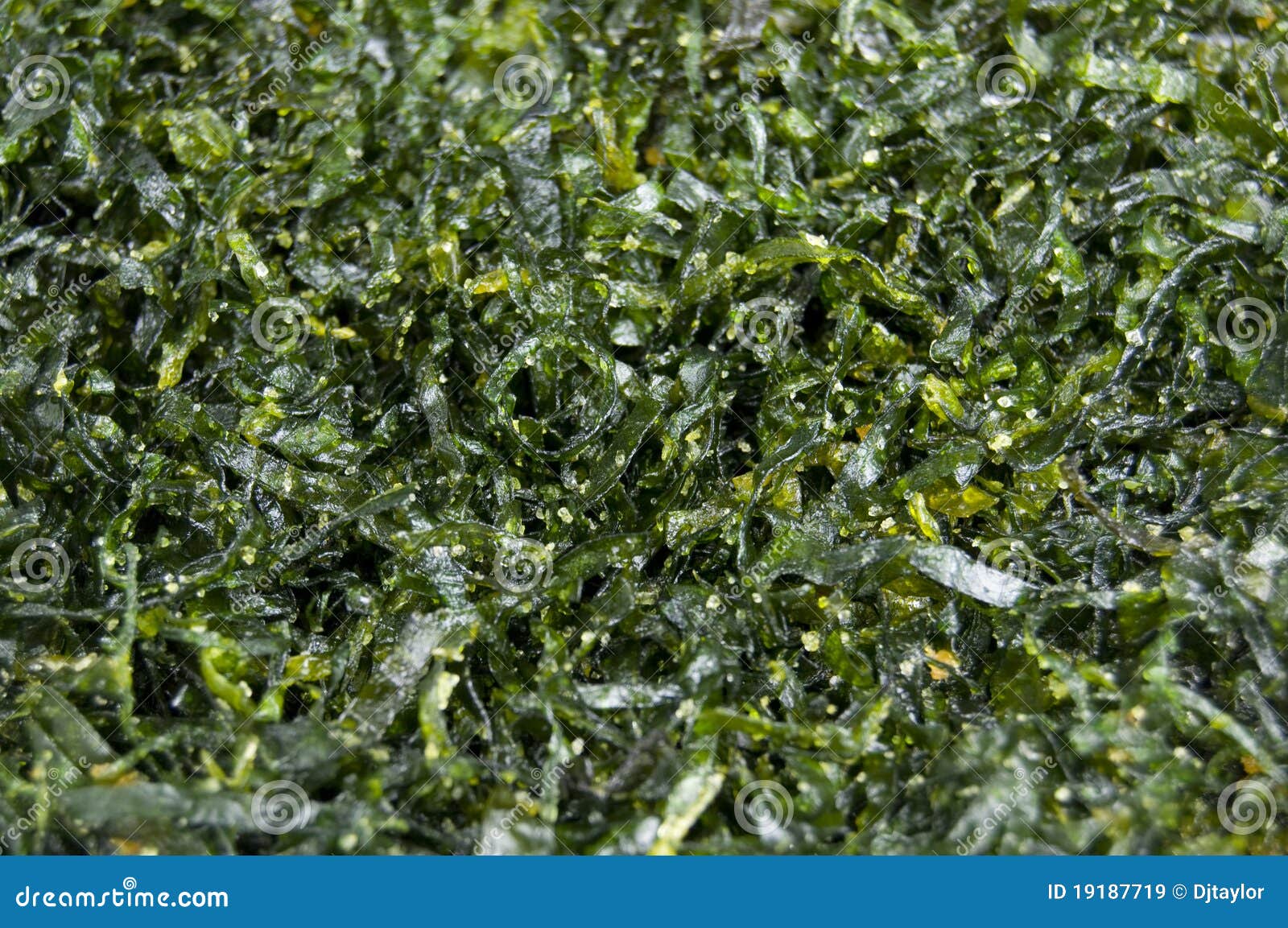 Crispy Seaweed. A Thin Green Sheet On A White Screen. Royalty-Free ...