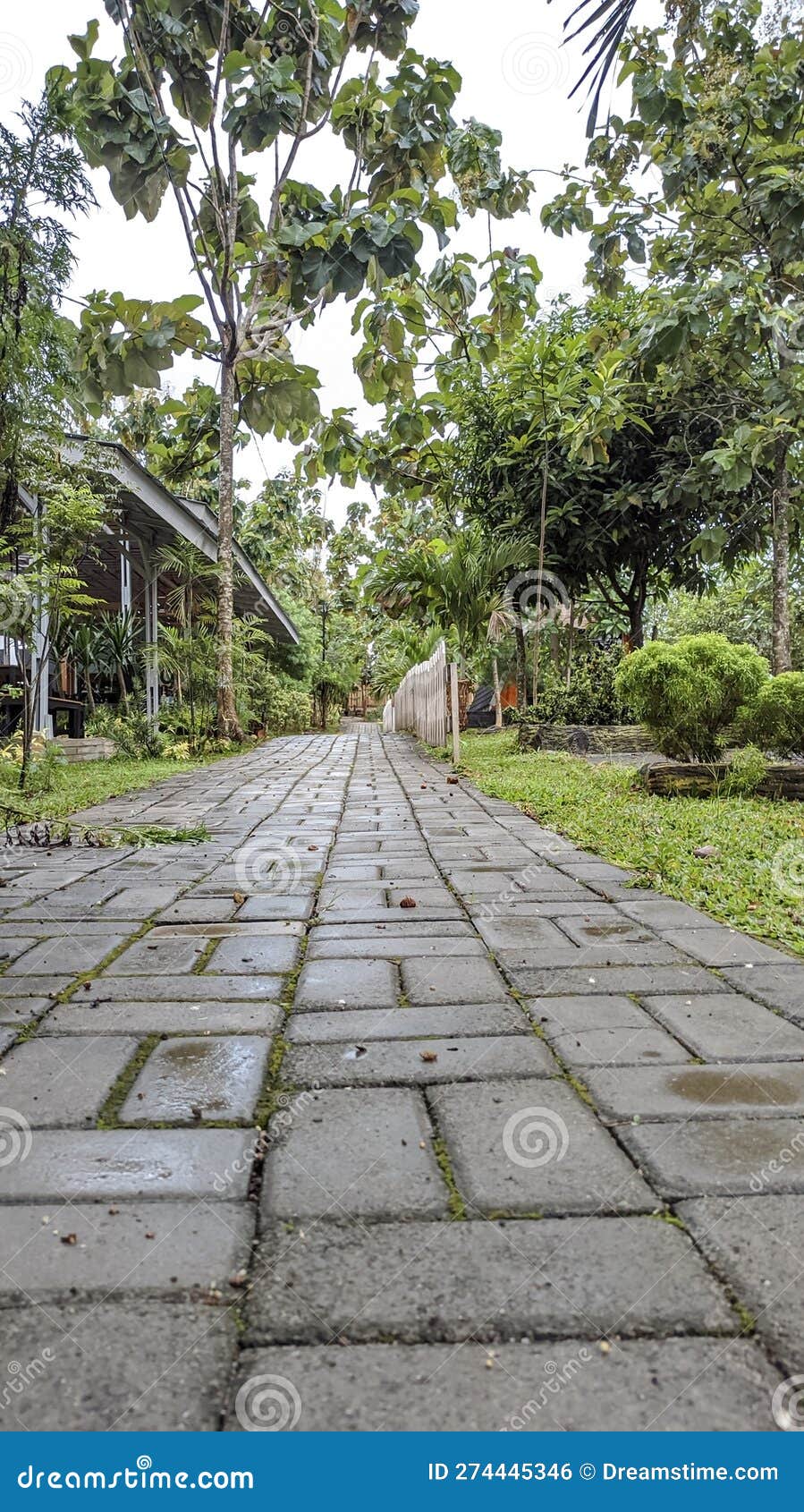 Criss Cross Brick Path Walkway Stock Photo - Image of grass, street ...