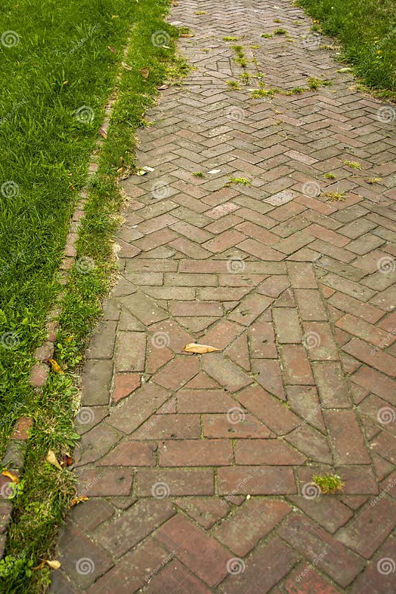 Criss Cross Brick Path Walkway Stock Image - Image of plant, summer ...