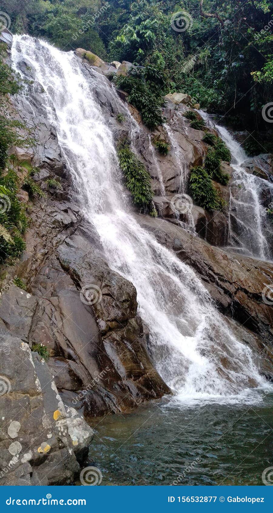 Cristal Clear Colombian Waterfalls Stock Image - Image of clear, water ...