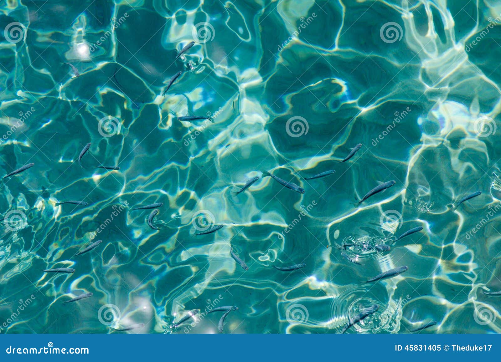 Cristal - Eau De Mer Claire Image stock - Image du aqua, bleu: 45831405