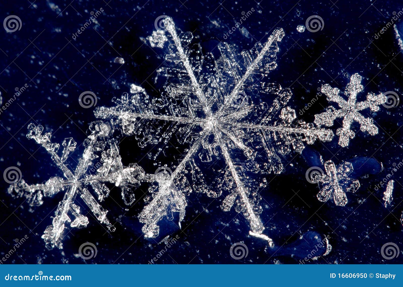 Cristales De La Nieve Del Invierno Foto de archivo - Imagen de helada ...
