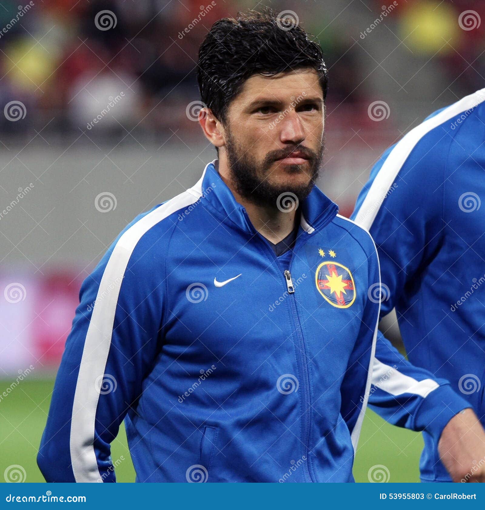 Cristian Tanase redaktionelles stockfoto. Bild von kristall - 53955803