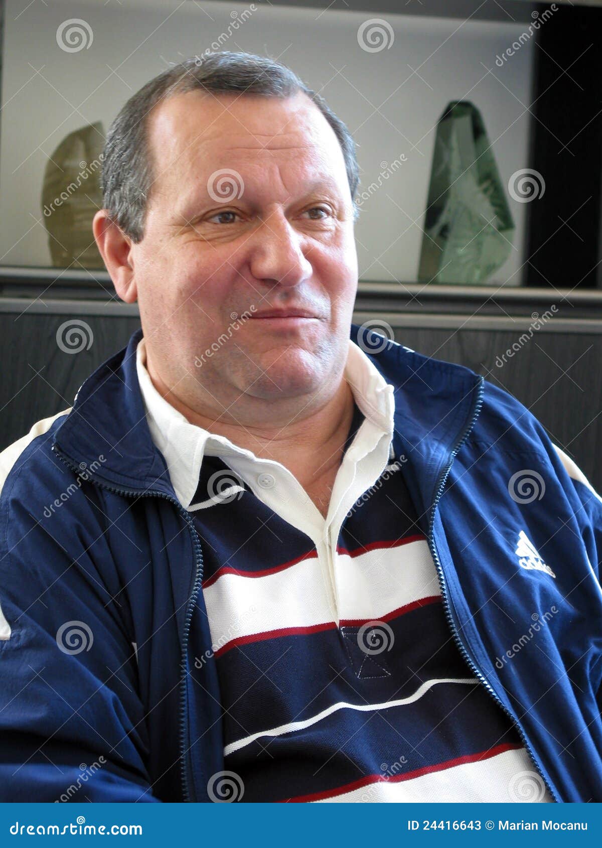 Cristian Tantareanu editorial stock photo. Image of businessman - 24416643