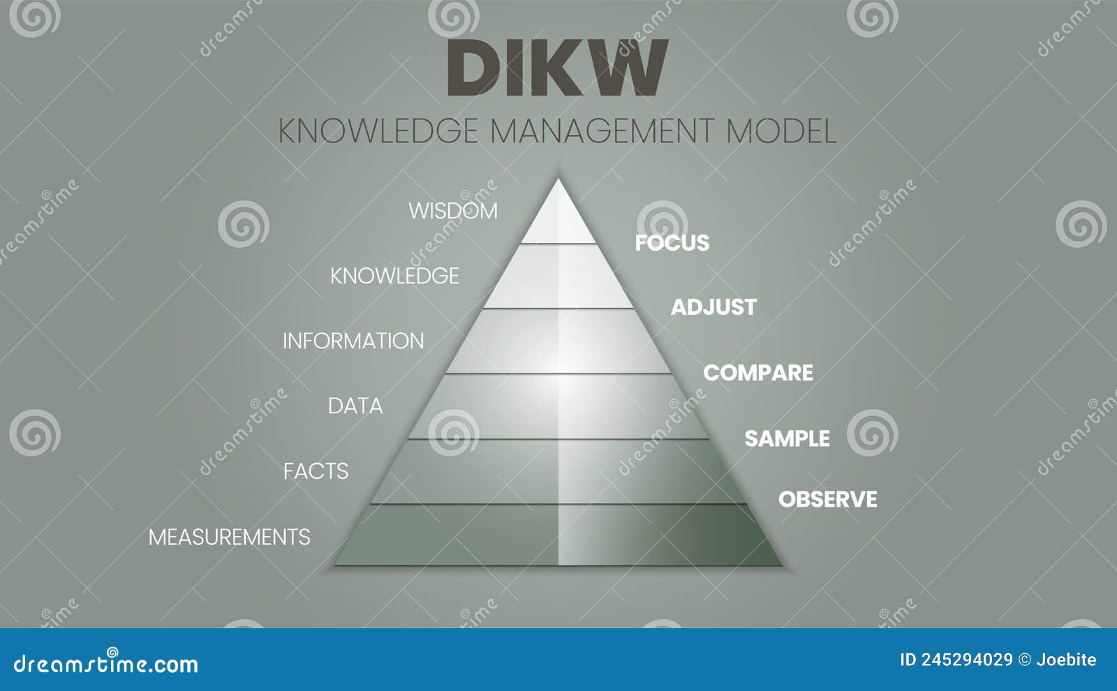 A Vector Illustration of the DIKW Hierarchy Has Wisdom, Knowledge ...
