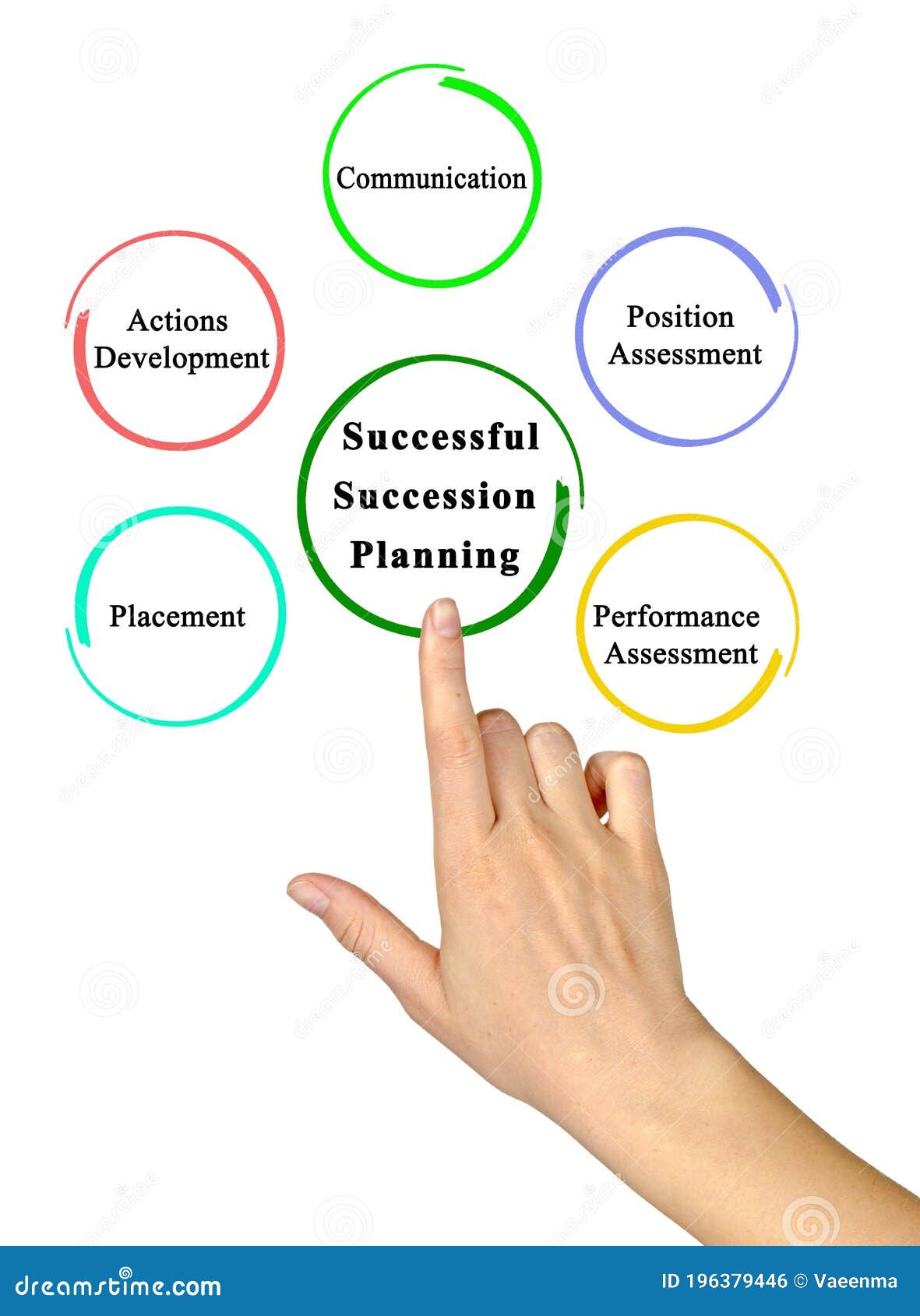 Components of Successful Succession Planning Stock Photo - Image of ...