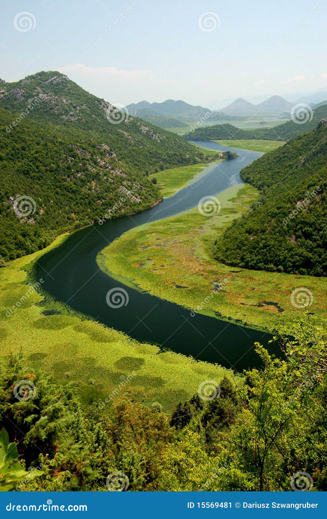Crnojevica River, Montenegro Stock Image - Image of lake, environment ...