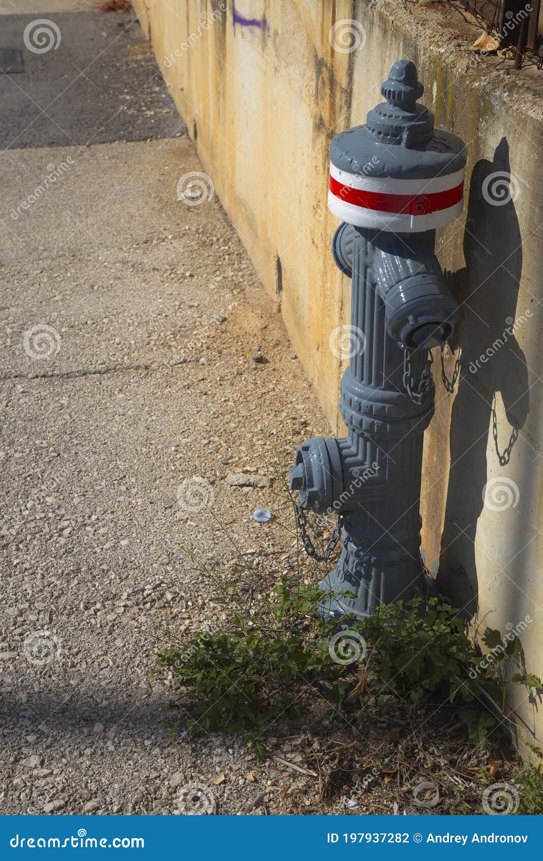 A grey fire hydrant stock photo. Image of emergency - 197937282
