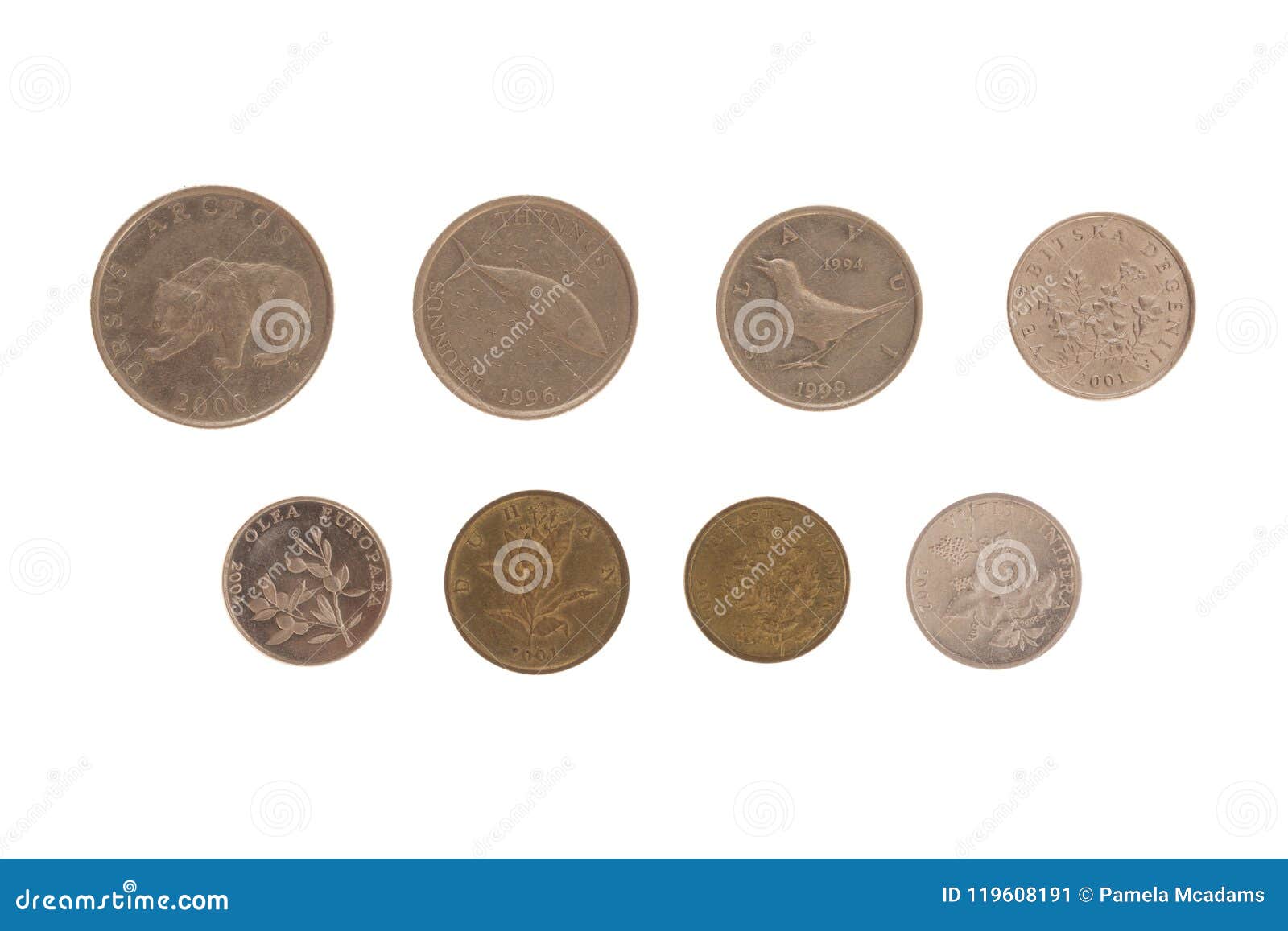Set of Croatian Coins stock image. Image of coin, market - 119608191