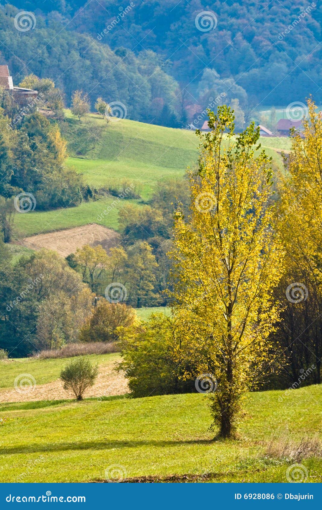 Croatian countryside stock photo. Image of downhill, landscape - 6928086