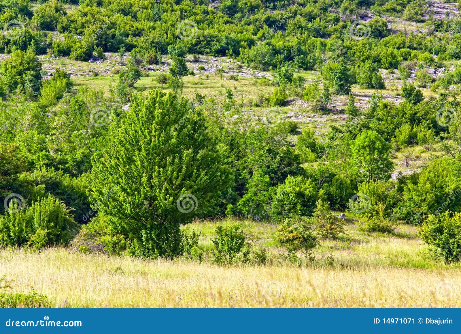 Croatian landscape stock image. Image of nature, lika - 14971071