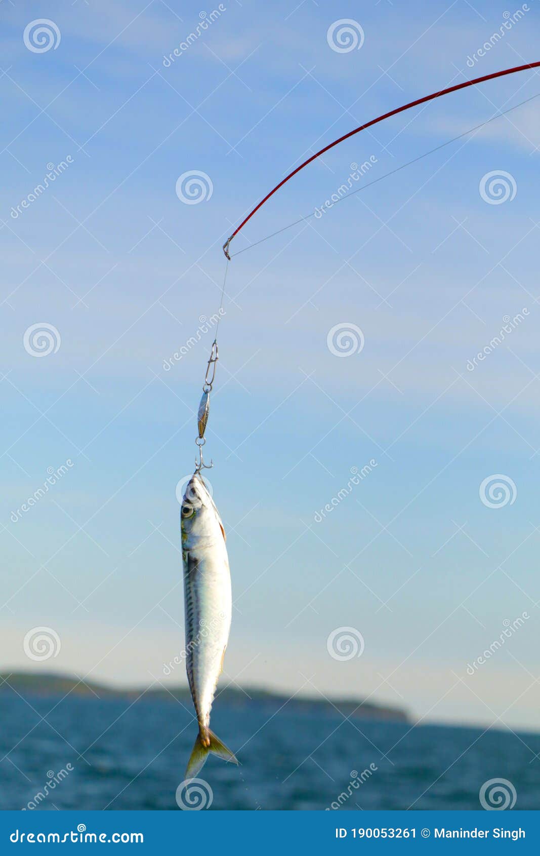 Crochet de poissons. image stock. Image du canada, halifax - 190053261