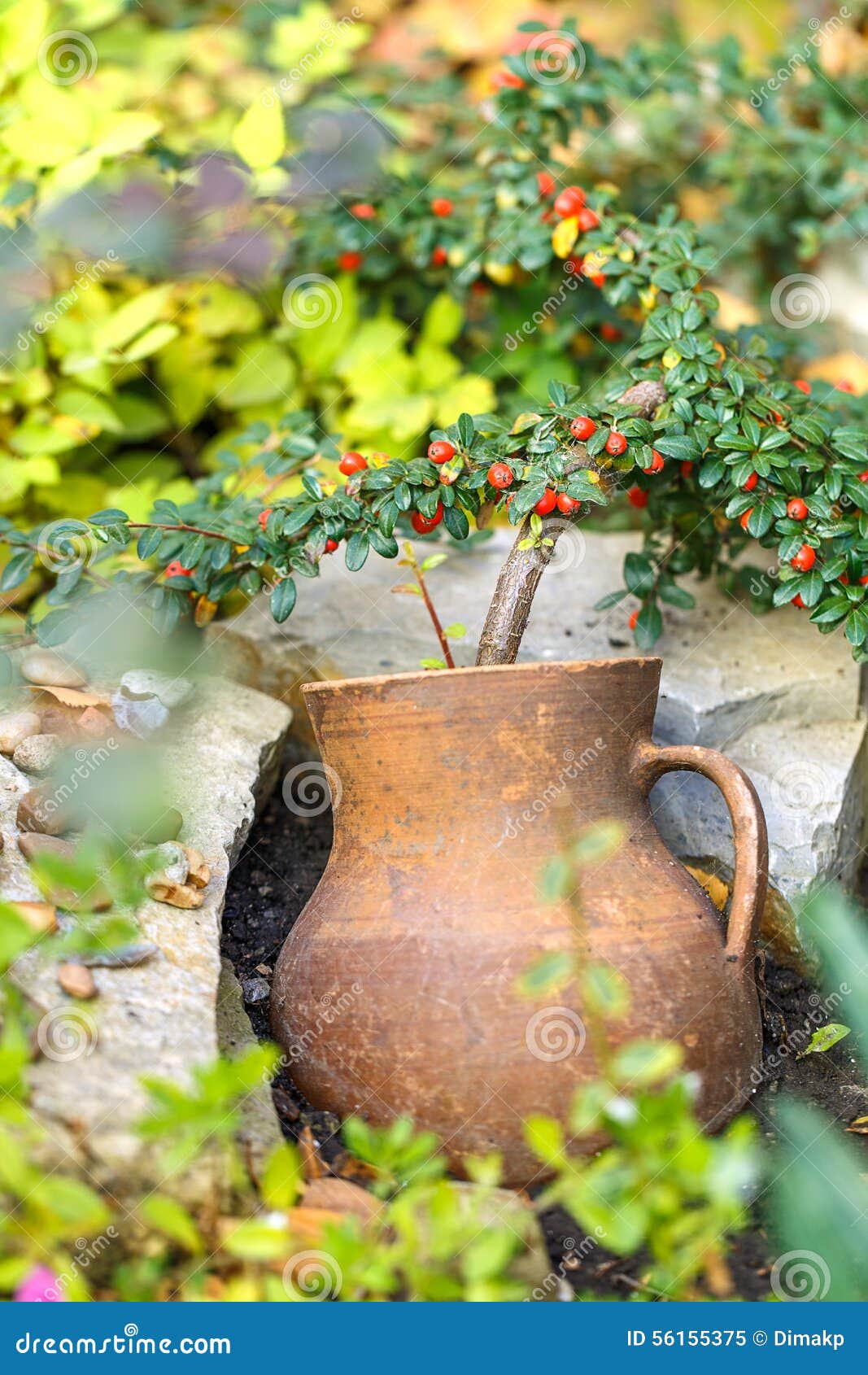 Crock pot flower stock image. Image of light, flowers - 56155375