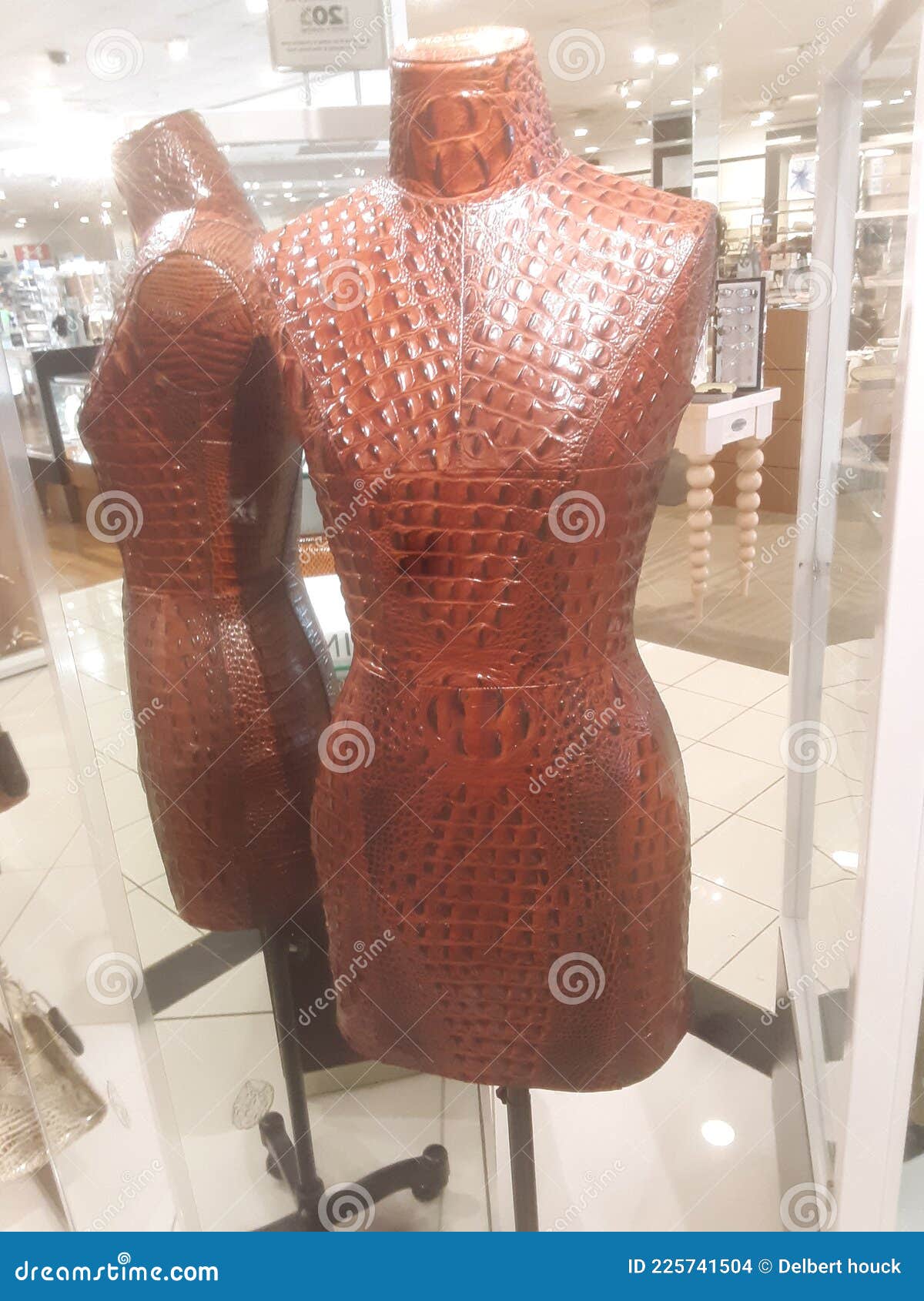 Crocodile Body Parts Including Legs ,scaly Skin And Tail Stock ...