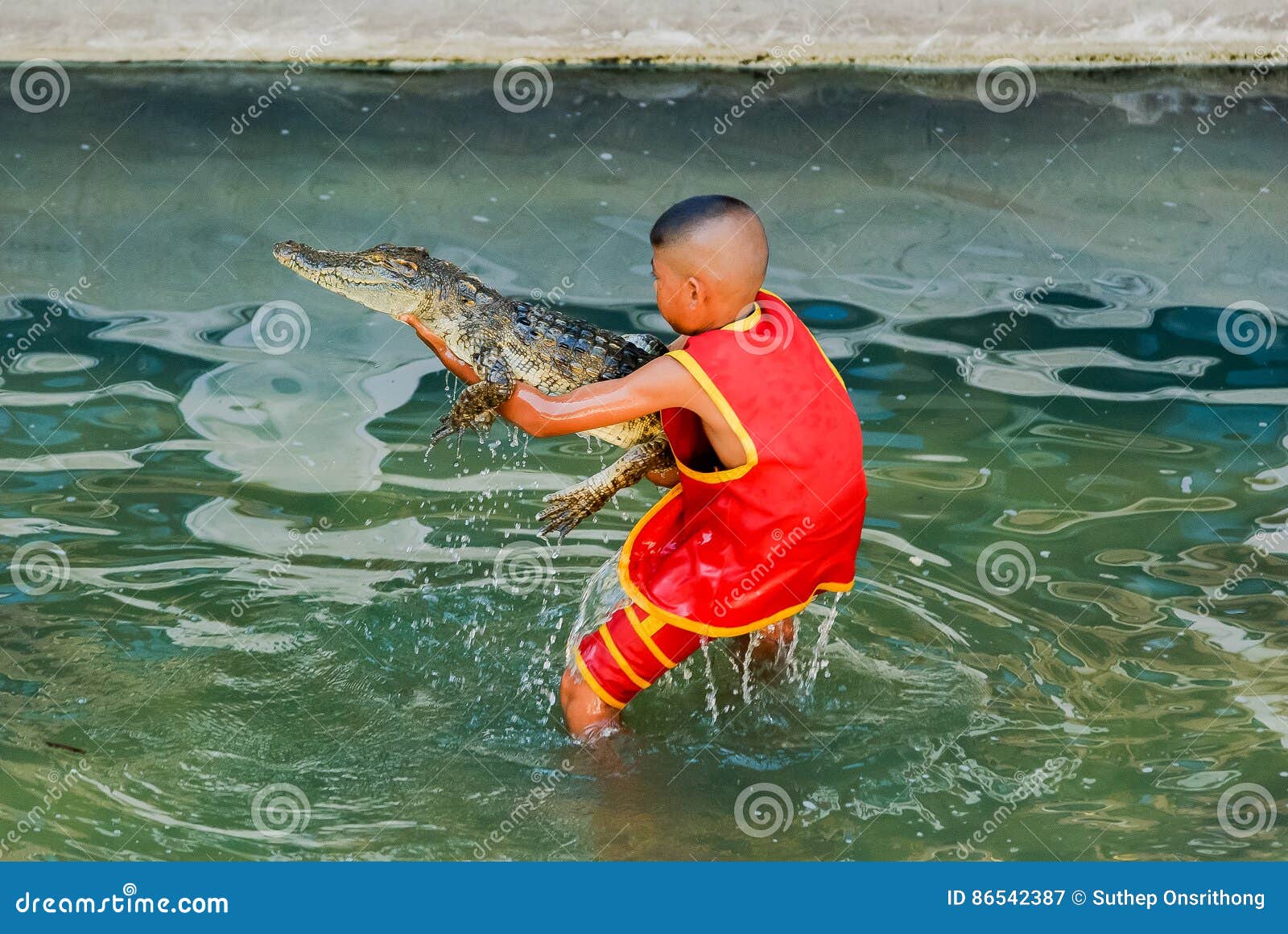 Crocodile with child 2 editorial photography. Image of friendsn - 86542387
