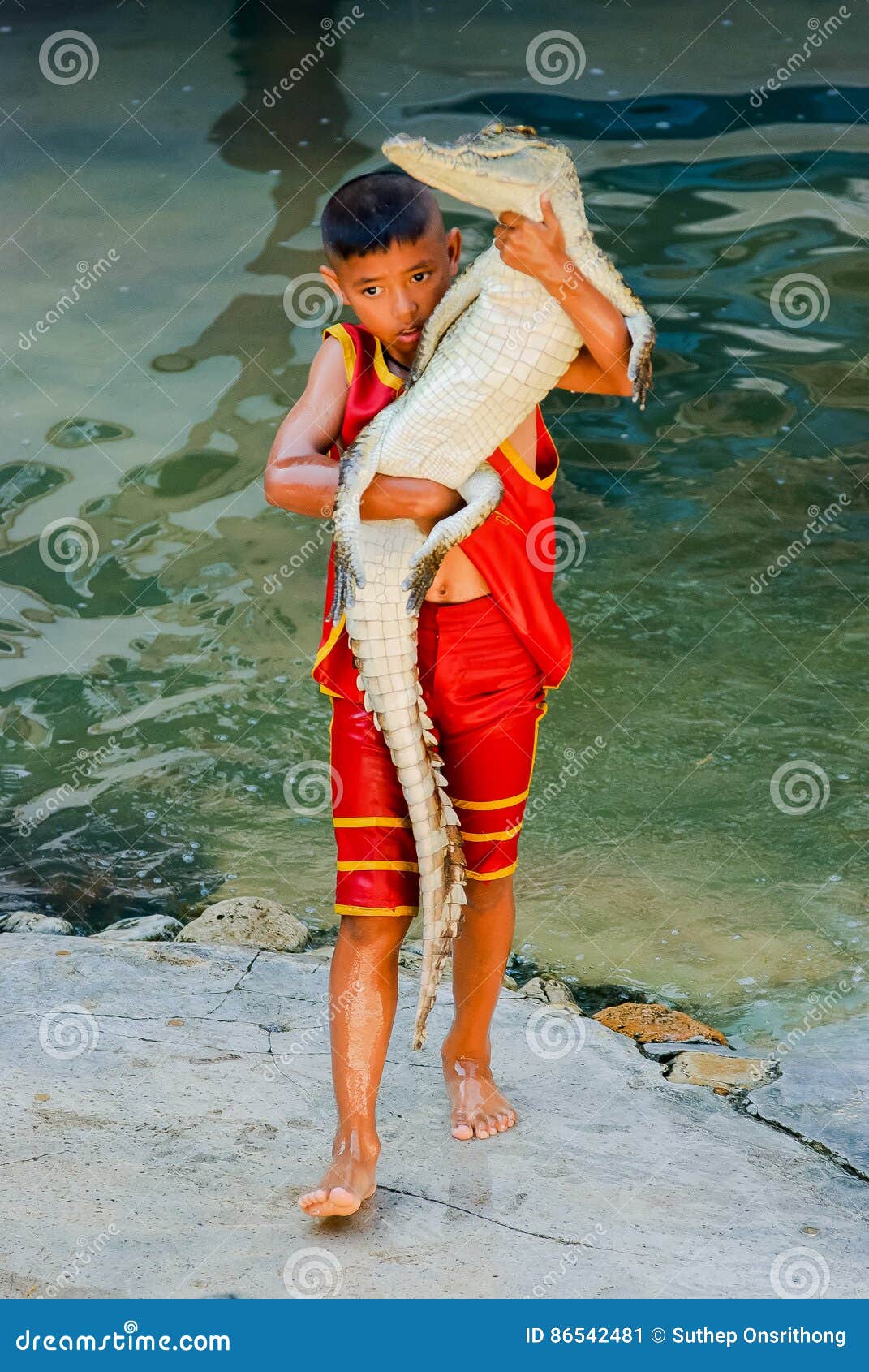 Crocodile Child 3 Stock Photos - Free & Royalty-Free Stock Photos from ...