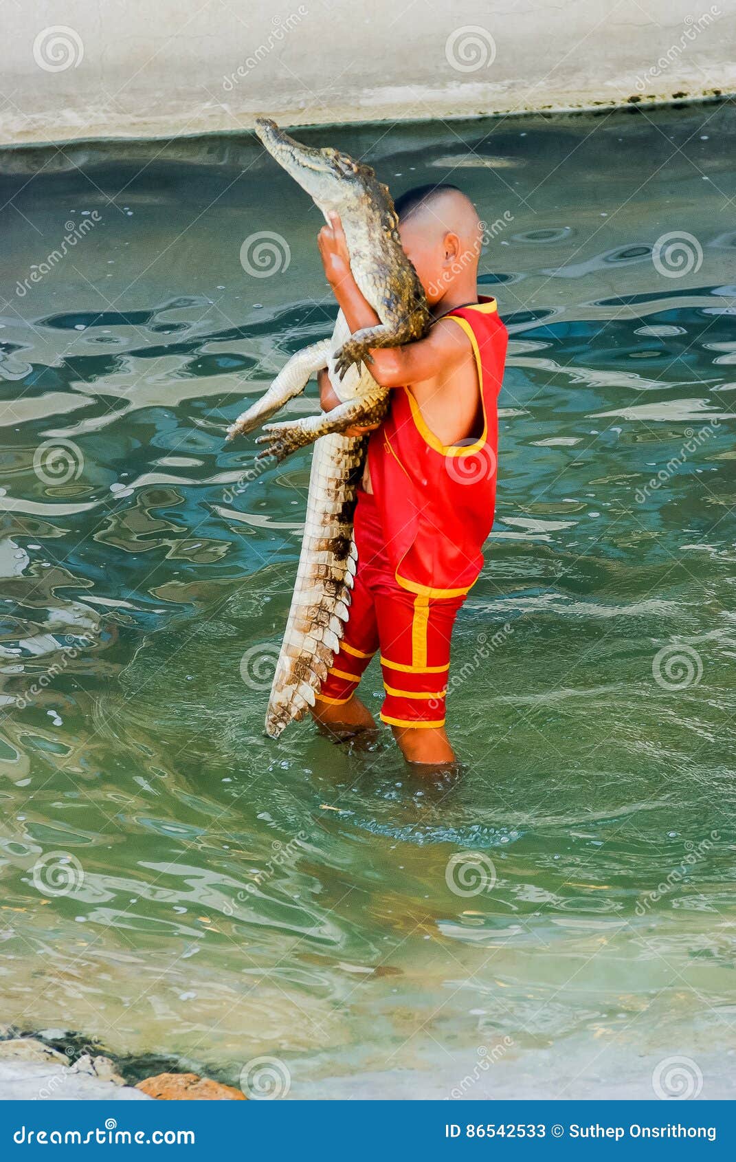 Crocodile with child editorial stock photo. Image of water - 86542533