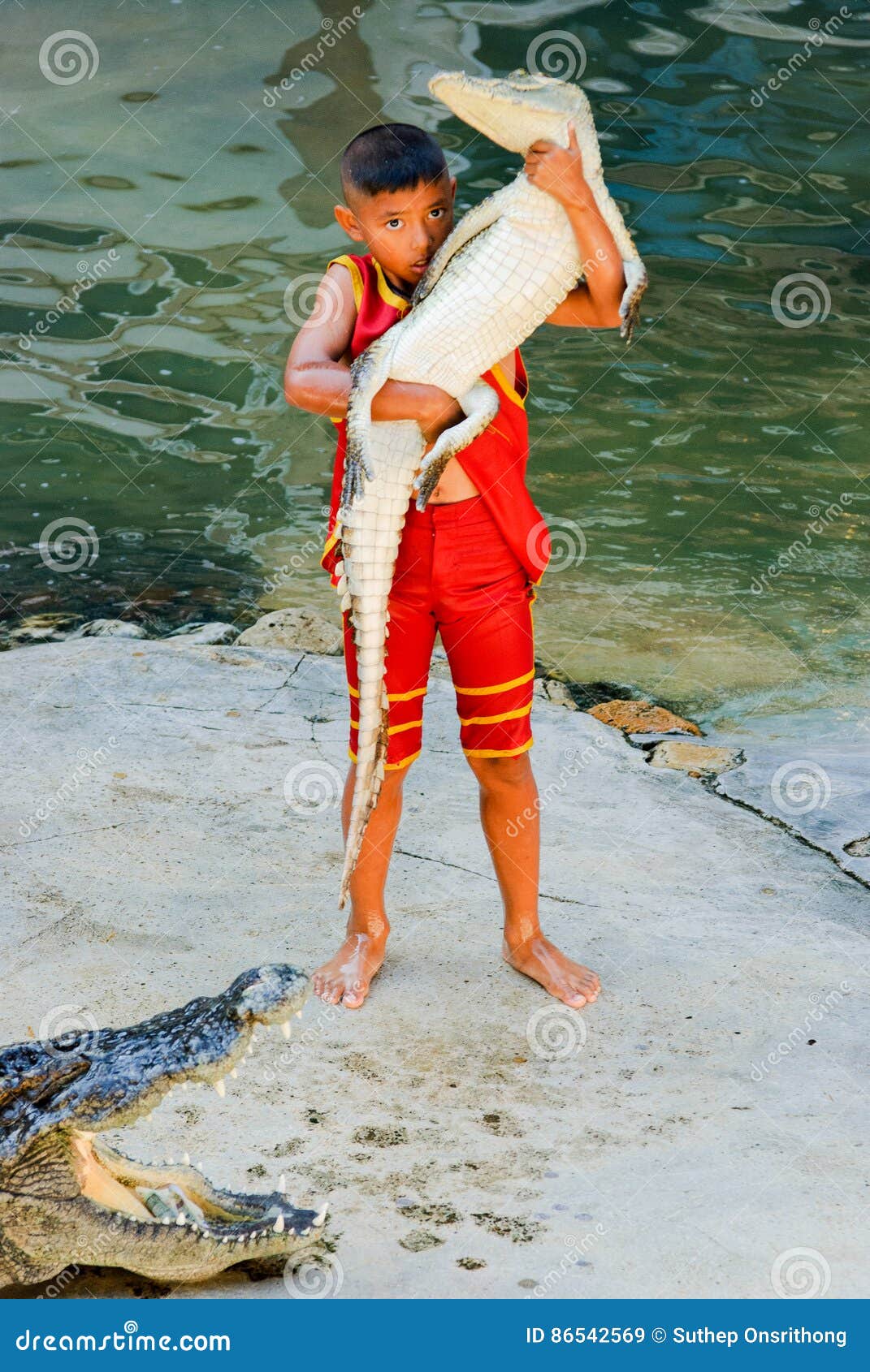 Crocodile with child 3 editorial stock image. Image of shirt - 86542569