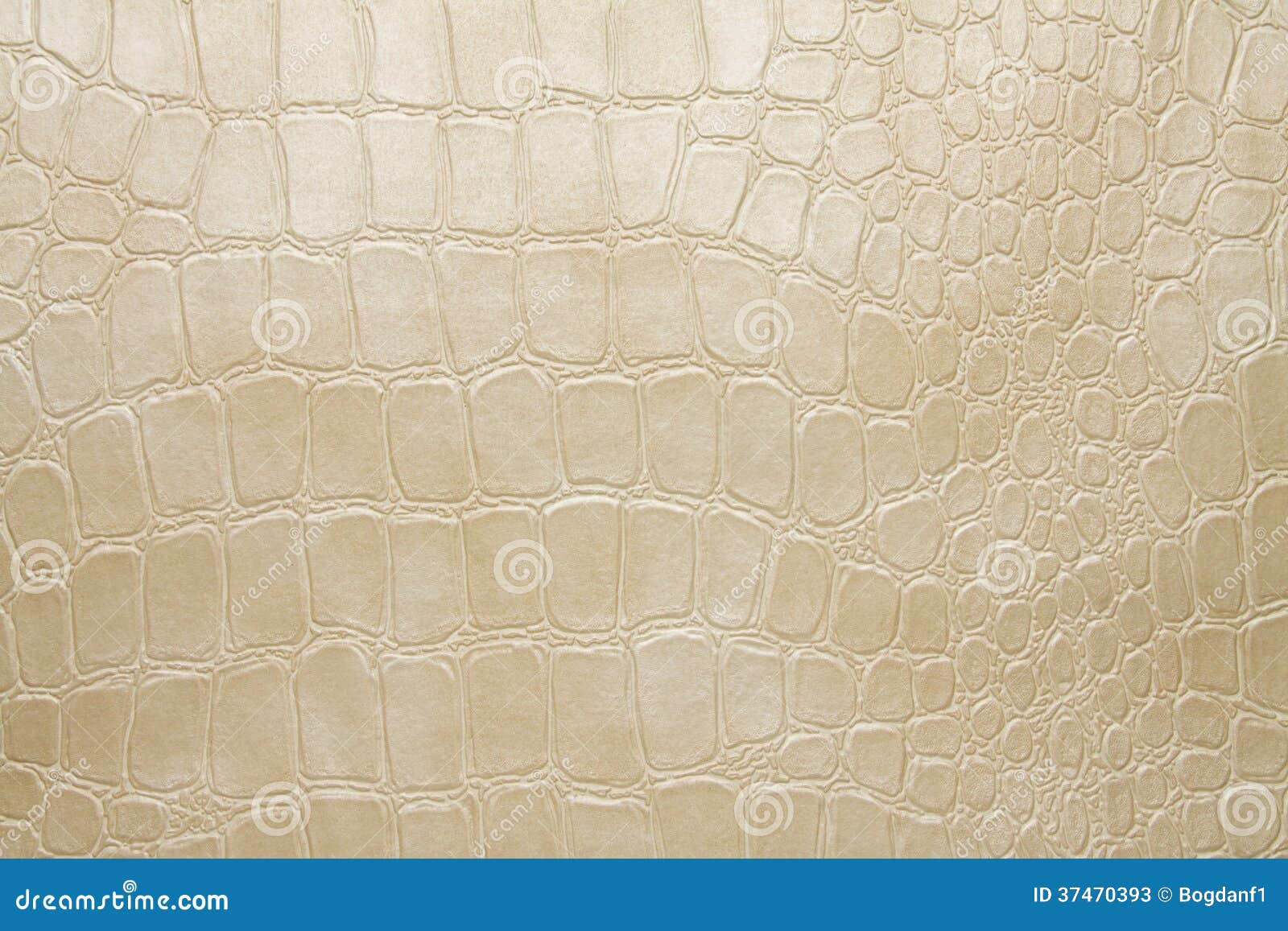 Crocodile Leather Cream Artificial Texture Photos - Free & Royalty-Free ...
