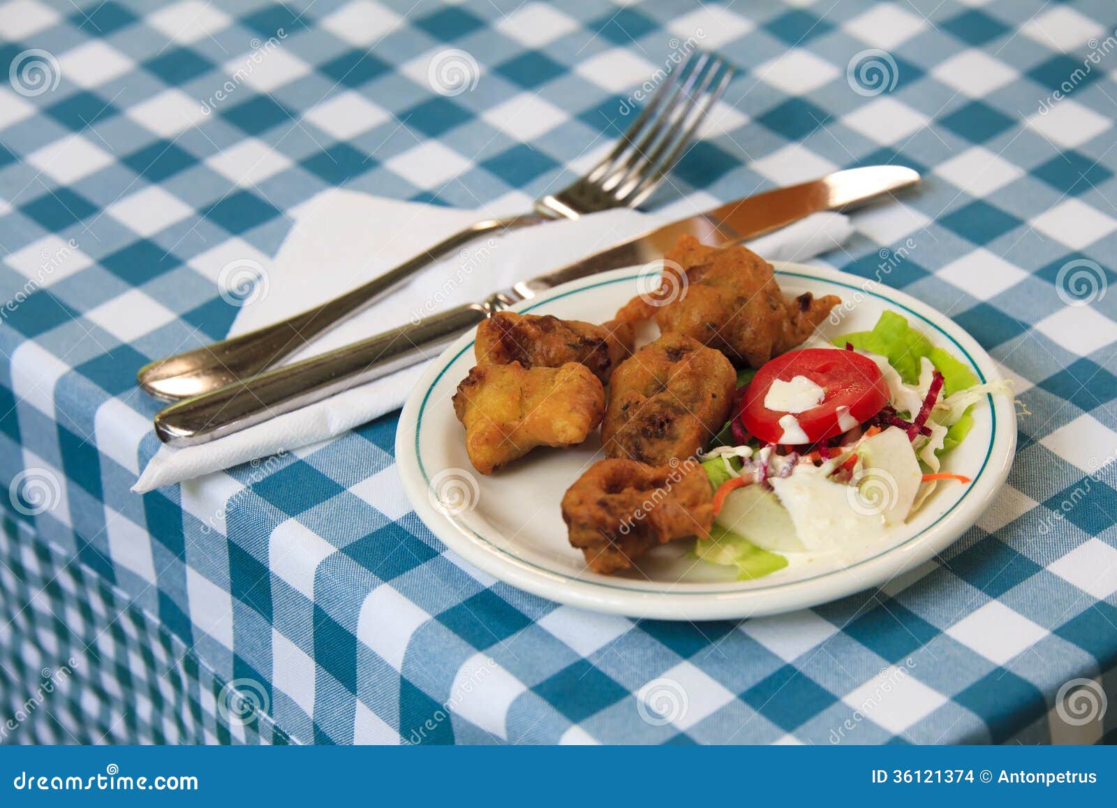 Crocodile fillet stock photo. Image of food, healthy - 36121374