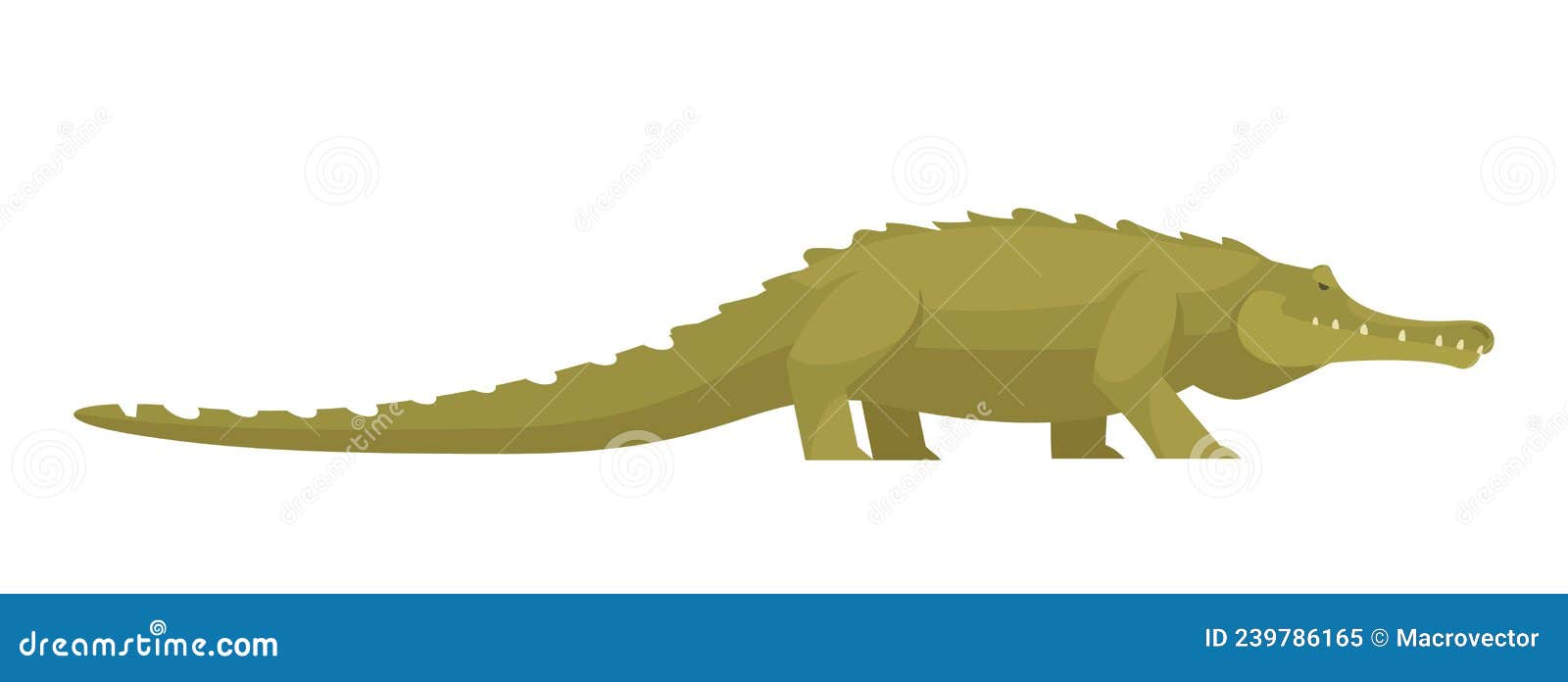 Crocodile Flat Icon stock vector. Illustration of life - 239786165