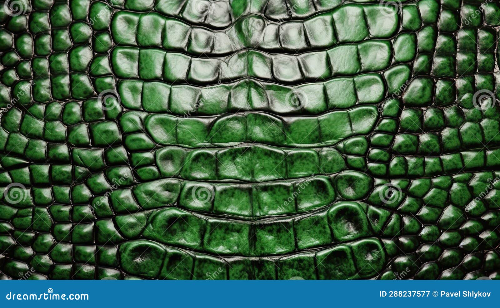 Crocodile Green Genuine Leather Background Stock Image - Image of mouth ...