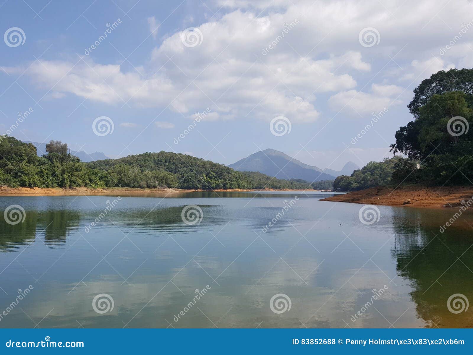 Crocodile lake stock photo. Image of lake, neyyar, crocodile - 83852688