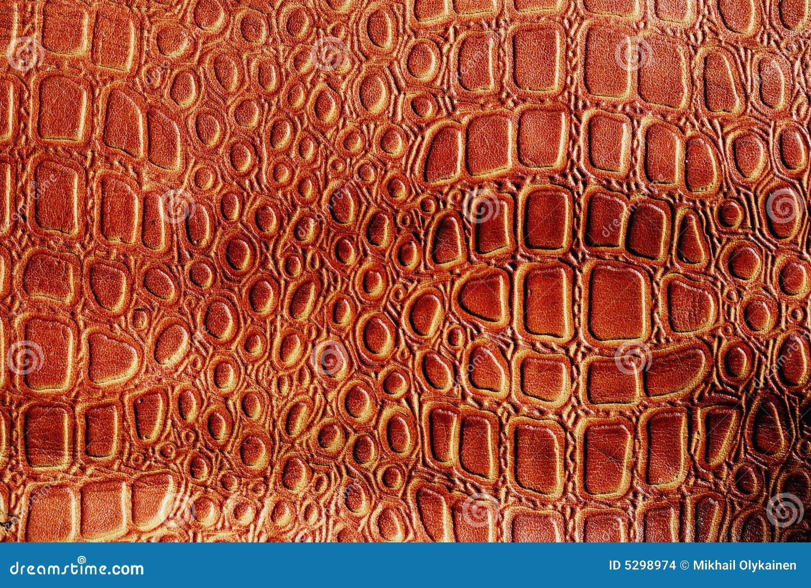 Crocodile leather stock photo. Image of seat, leathery - 5298974