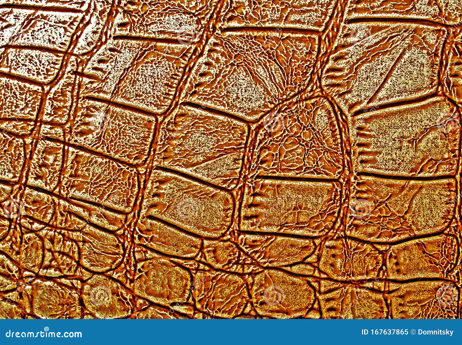 Crocodile Leather Texture Background Stock Image - Image of design ...