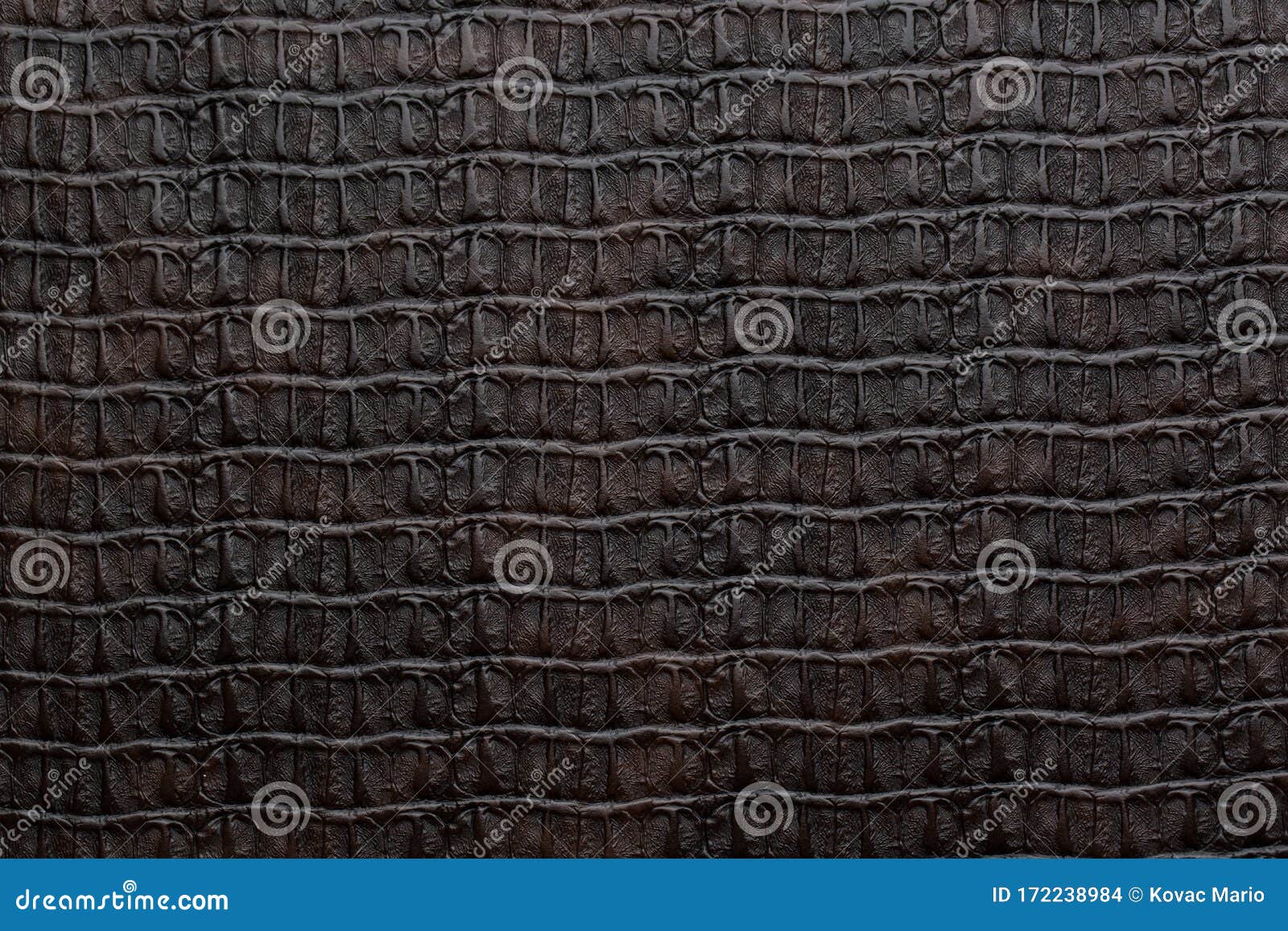 Crocodile leather texture stock photo. Image of scale - 172238984