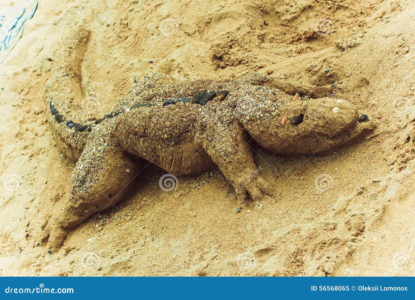 Crocodile Made Sand Beach Looks Very Realistic Stock Photos - Free ...