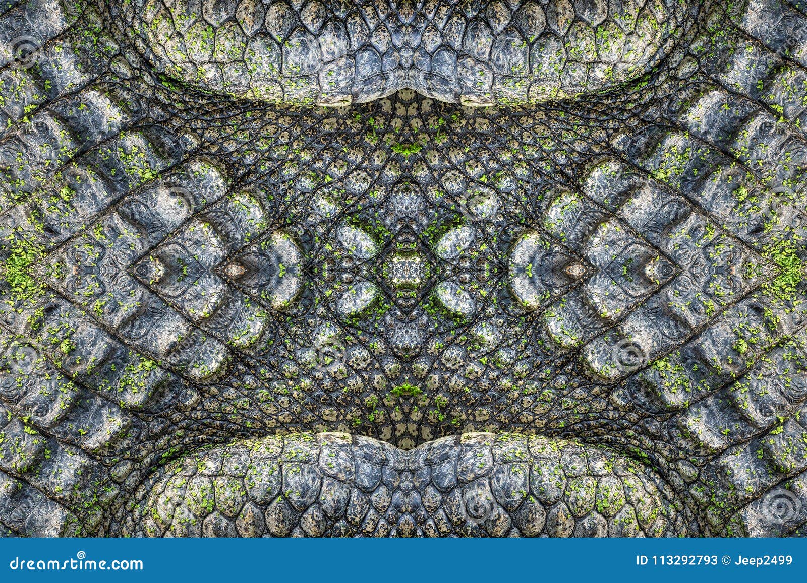 Crocodile Pattern and Skin. Stock Image - Image of head, animal: 113292793