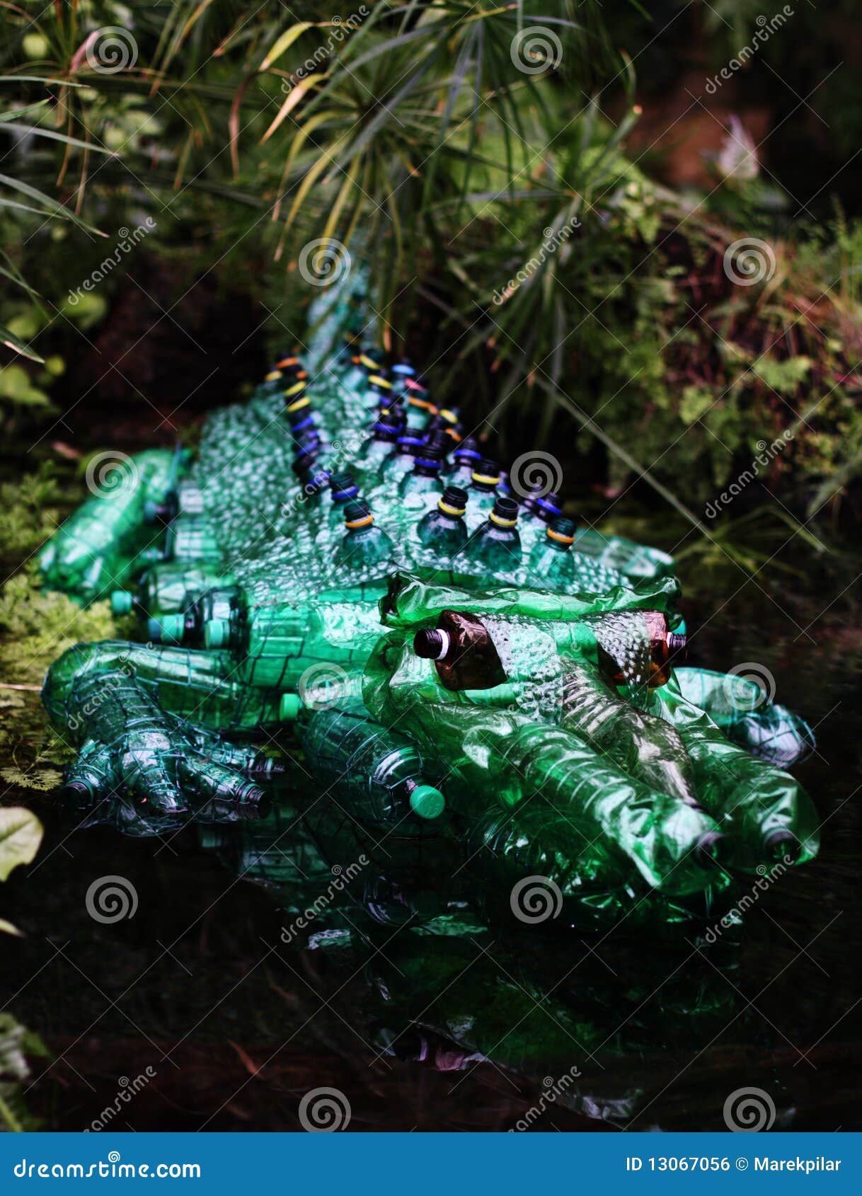Crocodile Plastic Toy Isolated In White Background Royalty-Free Stock ...