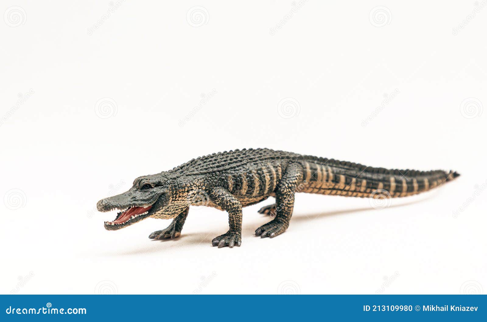 Crocodile Plastic Toy Isolated In White Background Royalty-Free Stock ...