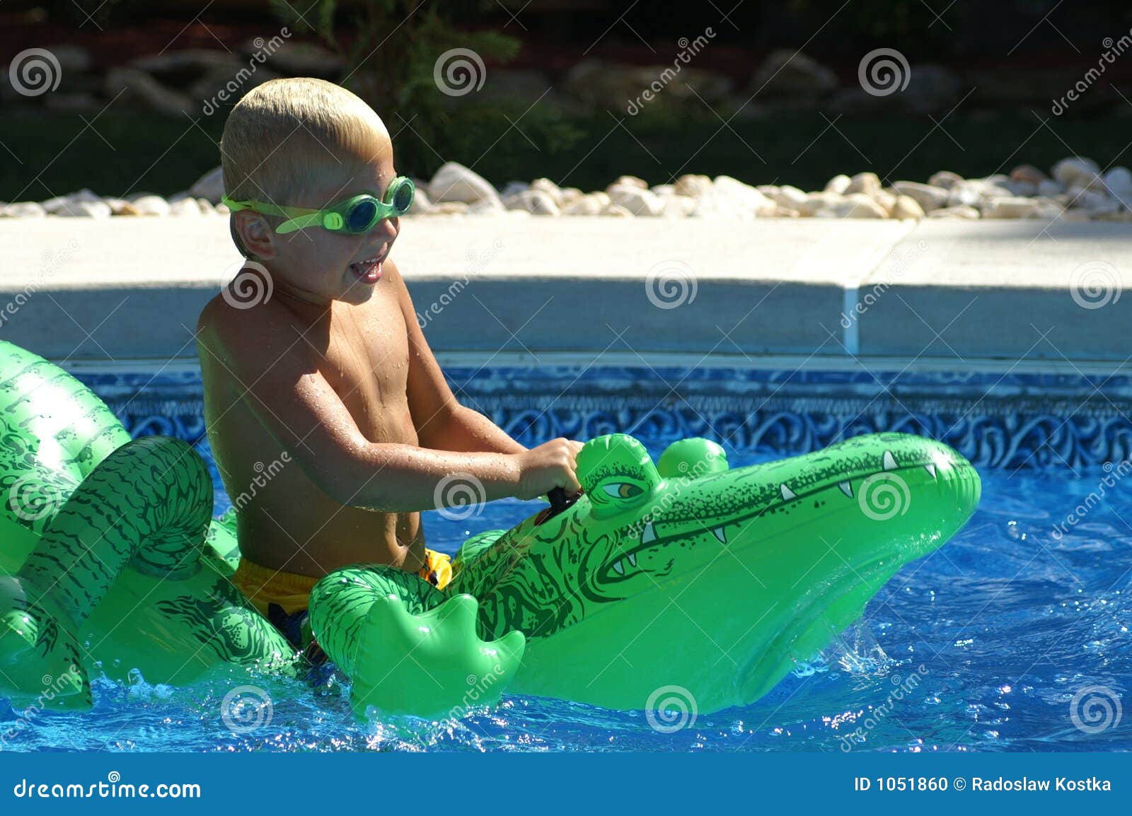 Crocodile ride stock photo. Image of pleasure, alligator - 1051860