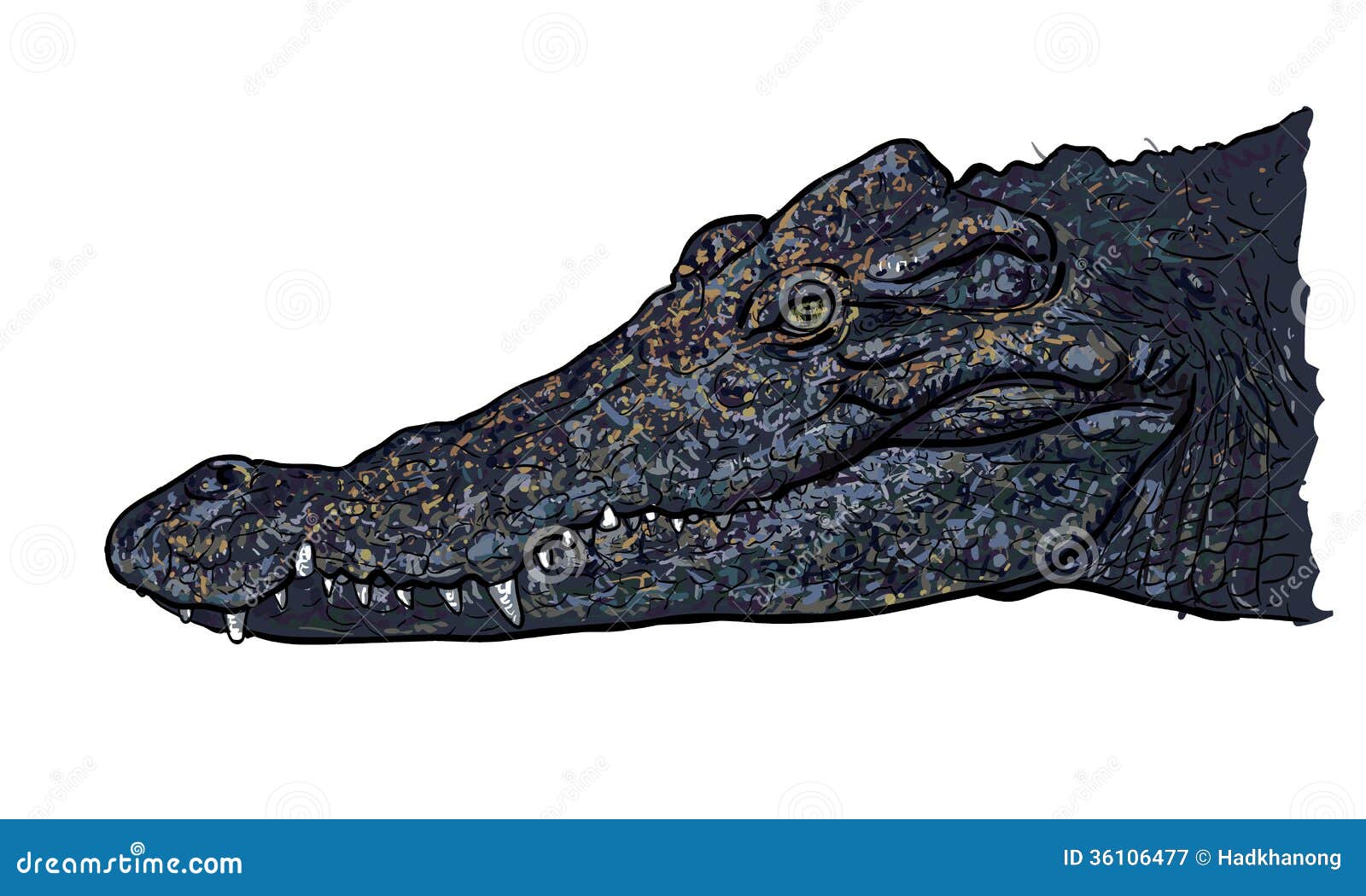 Crocodile s head stock illustration. Illustration of drawing - 36106477