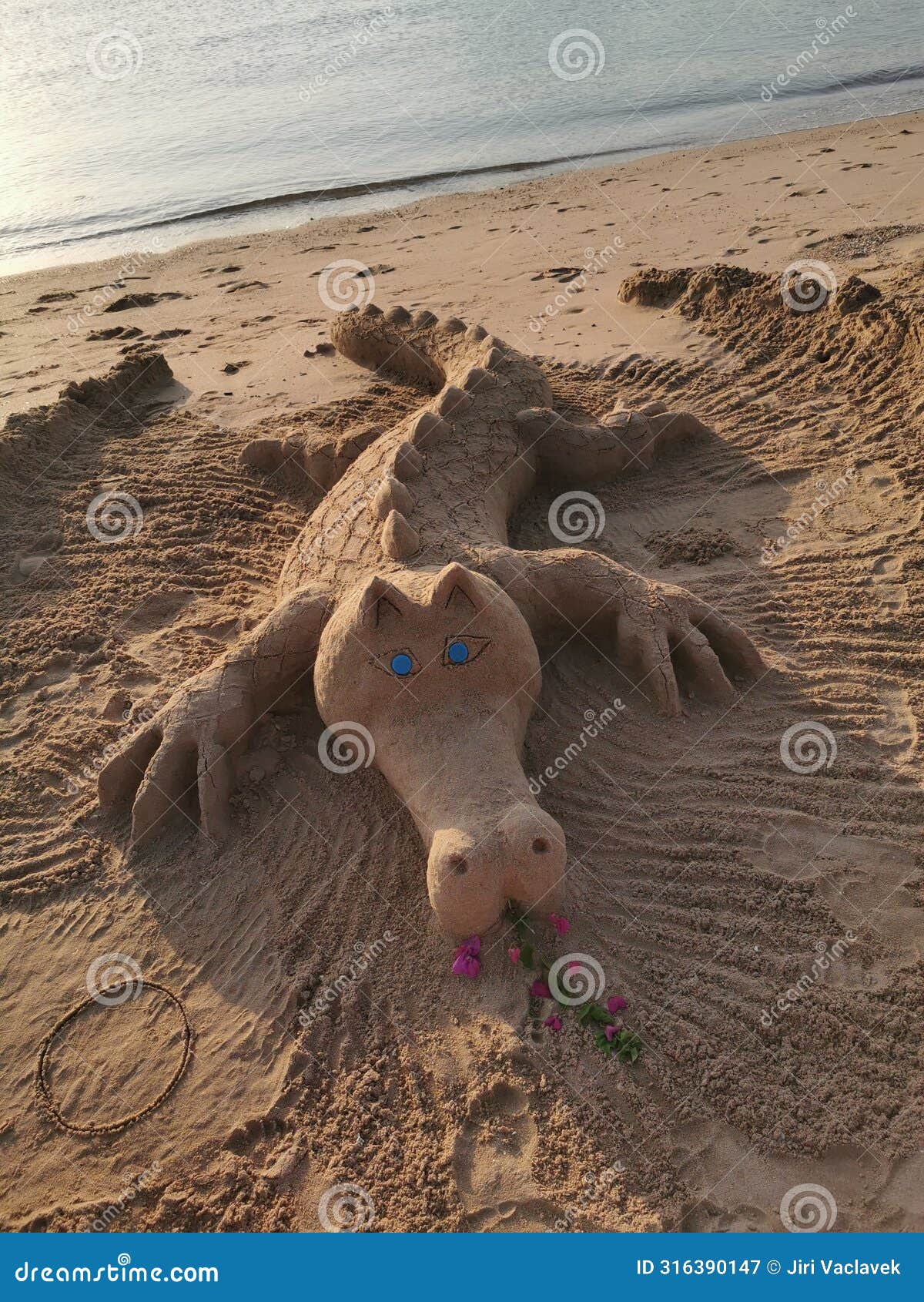 Crocodile from the sand stock image. Image of wildlife - 316390147