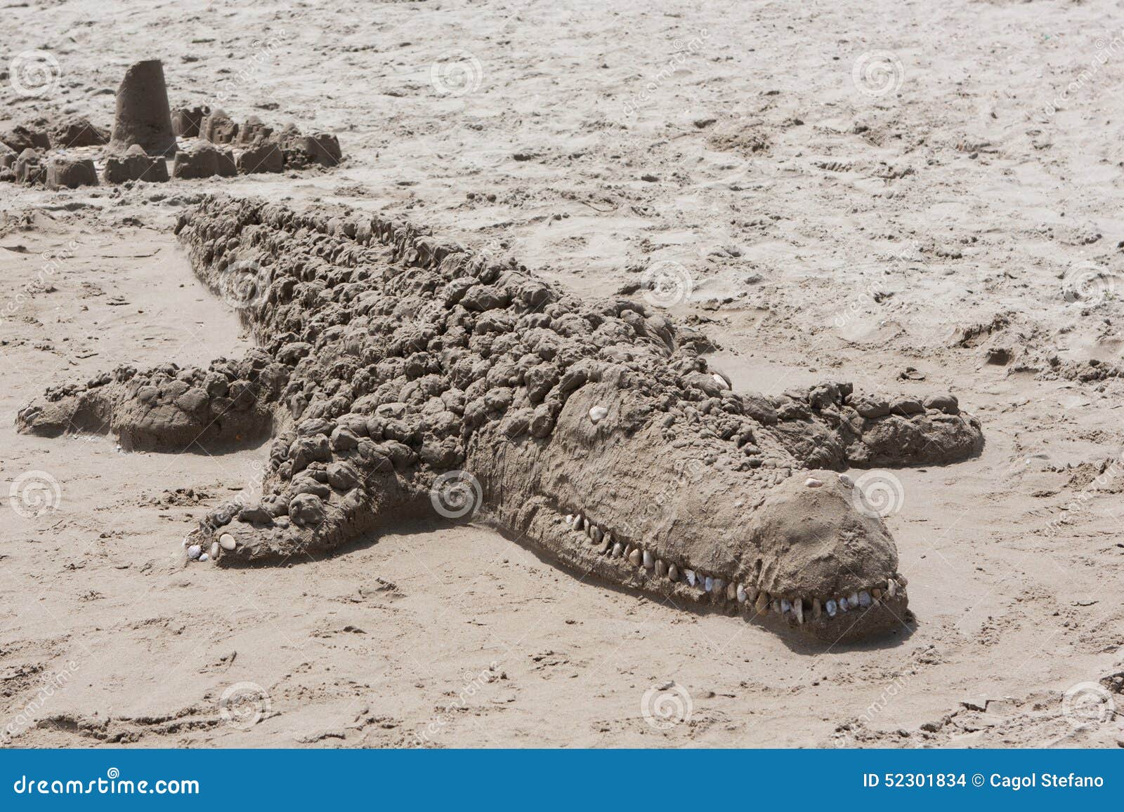 Crocodile sand stock photo. Image of shore, travel, tourism - 52301834