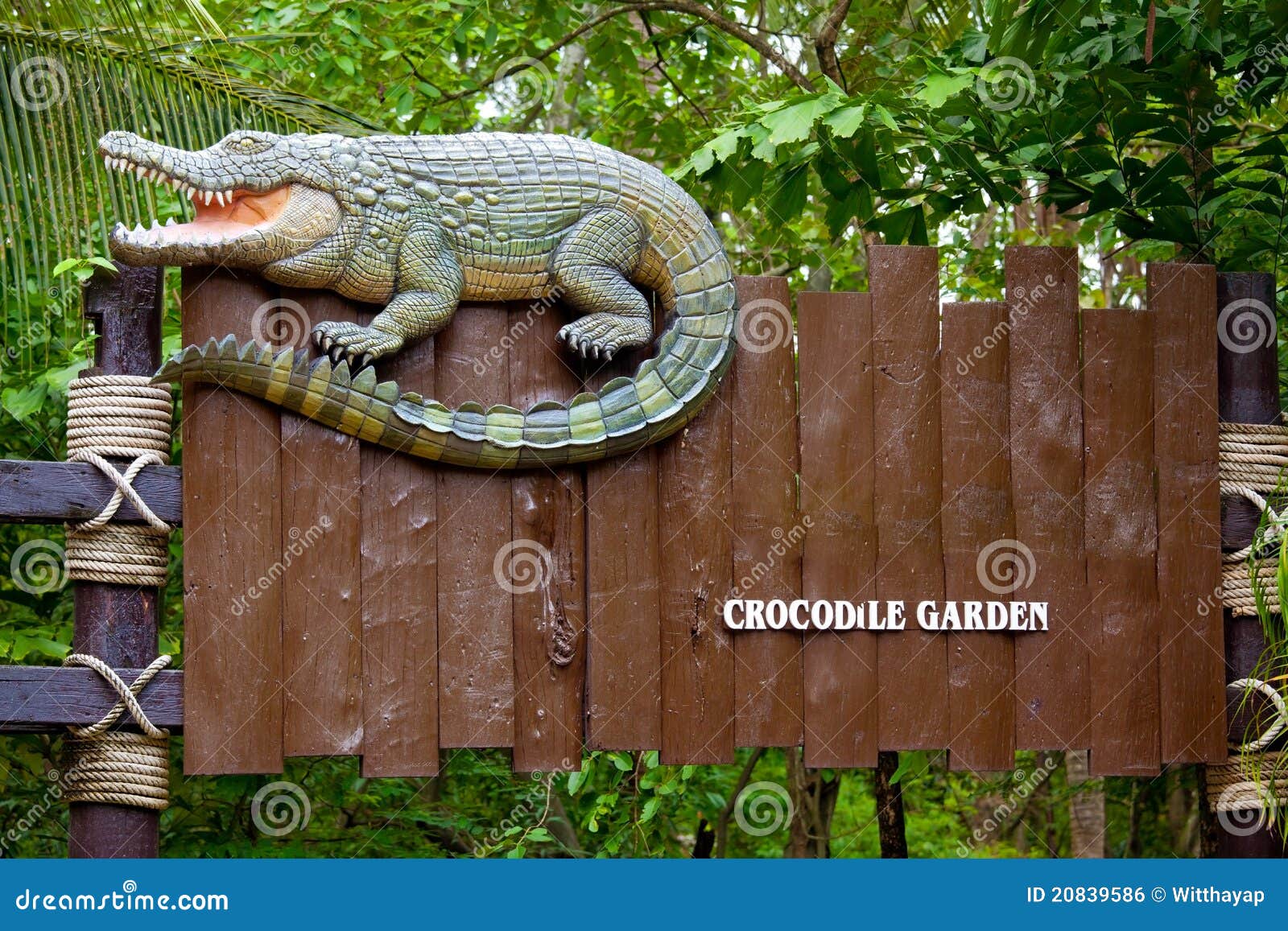 Crocodile sign stock photo. Image of risk, outside, sign - 20839586